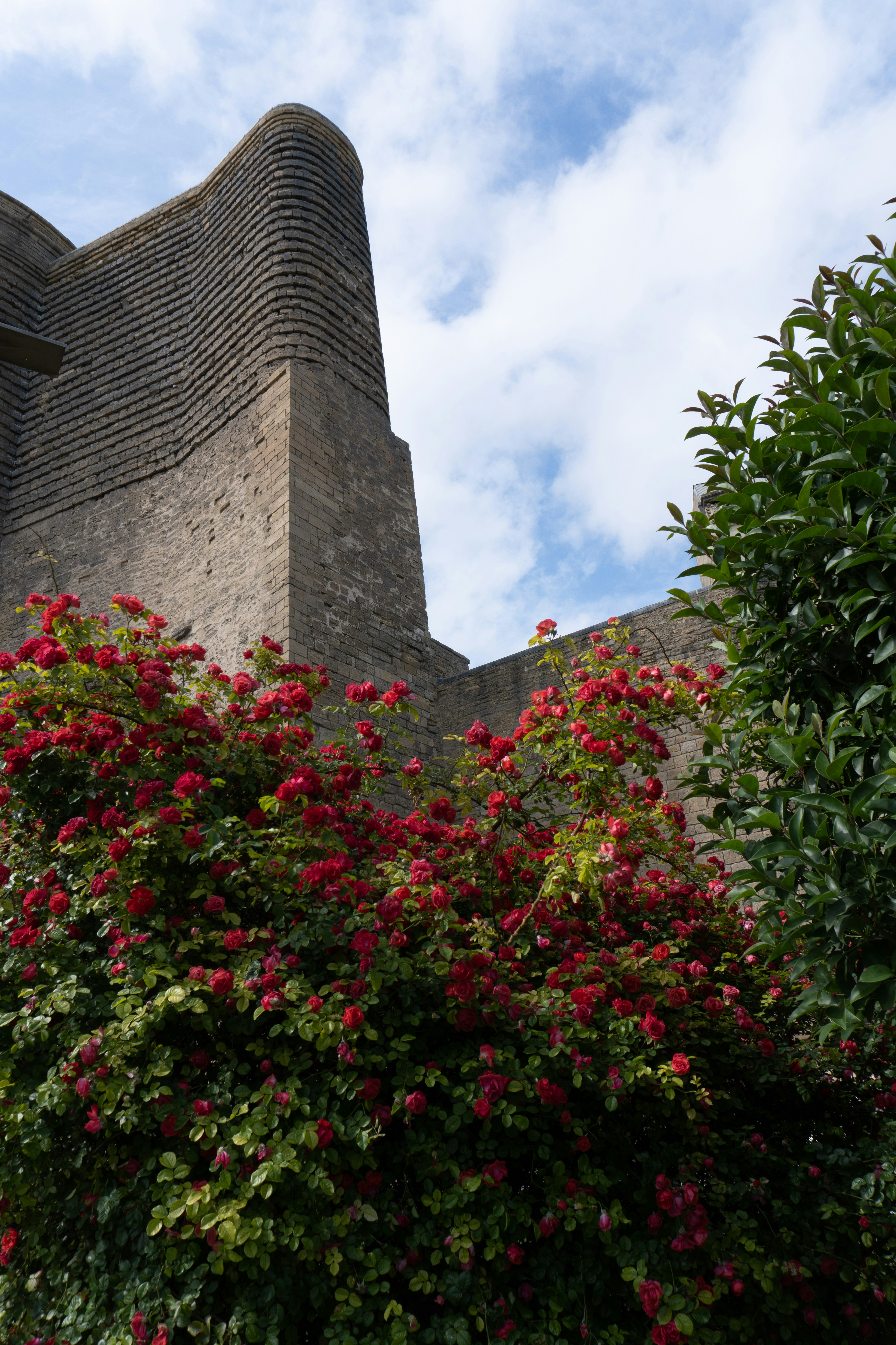 Photo by Zulfugar Karimov with Sony Alpha 6400