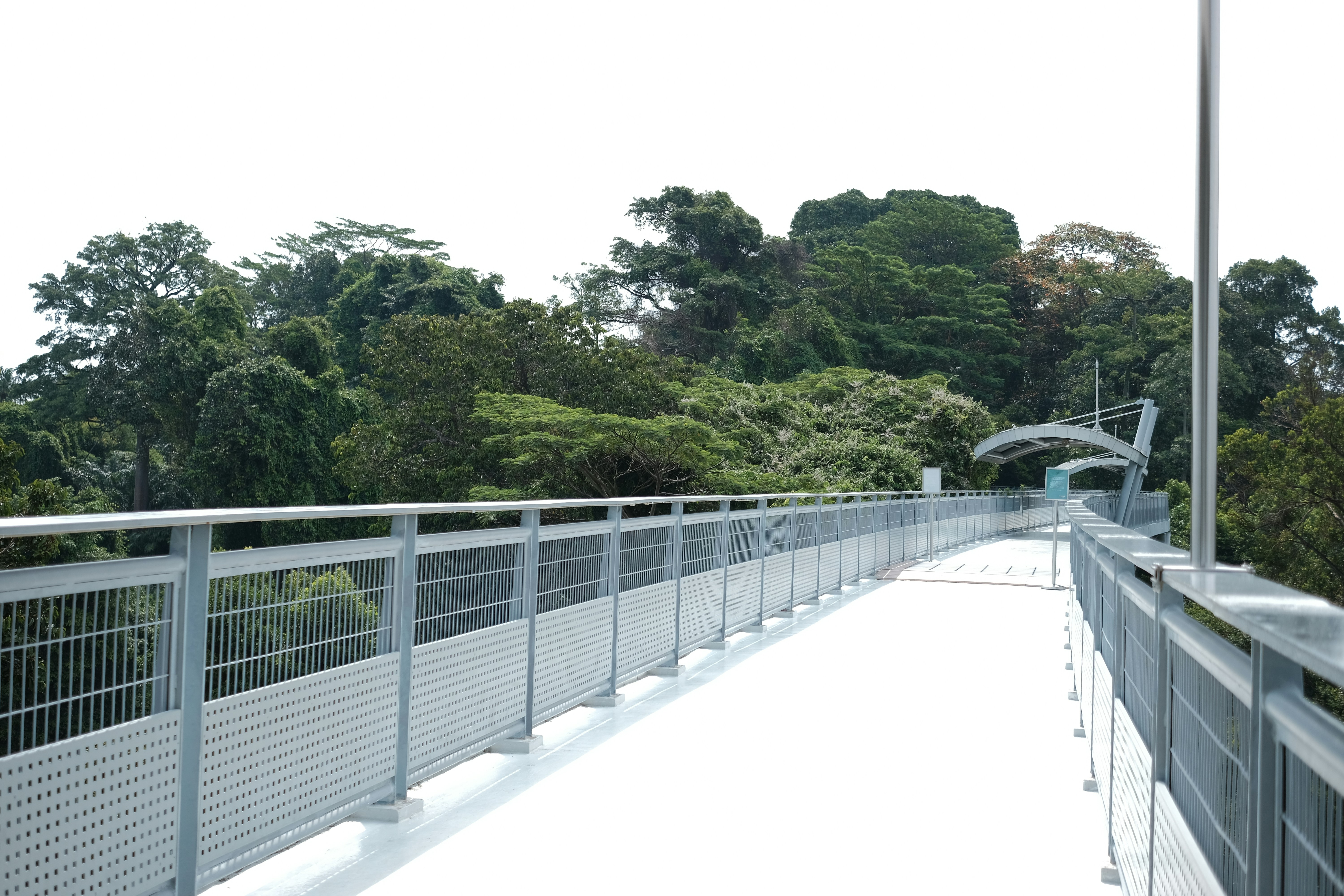 Photo by Angelyn Sanjorjo with Fujifilm X-T20