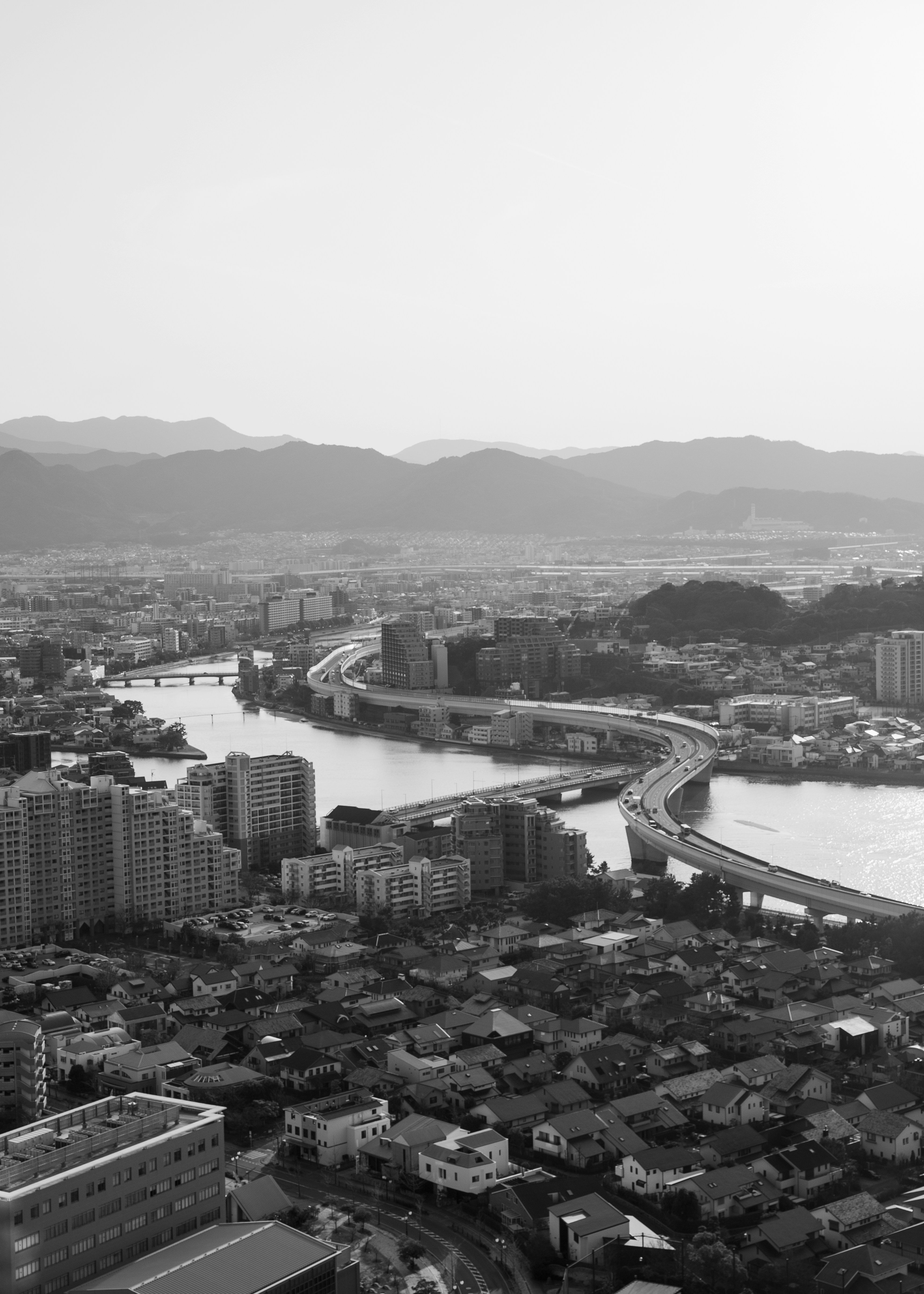 Monochrome River Ribbon: The Winding Bridge Carving Through a Dense City