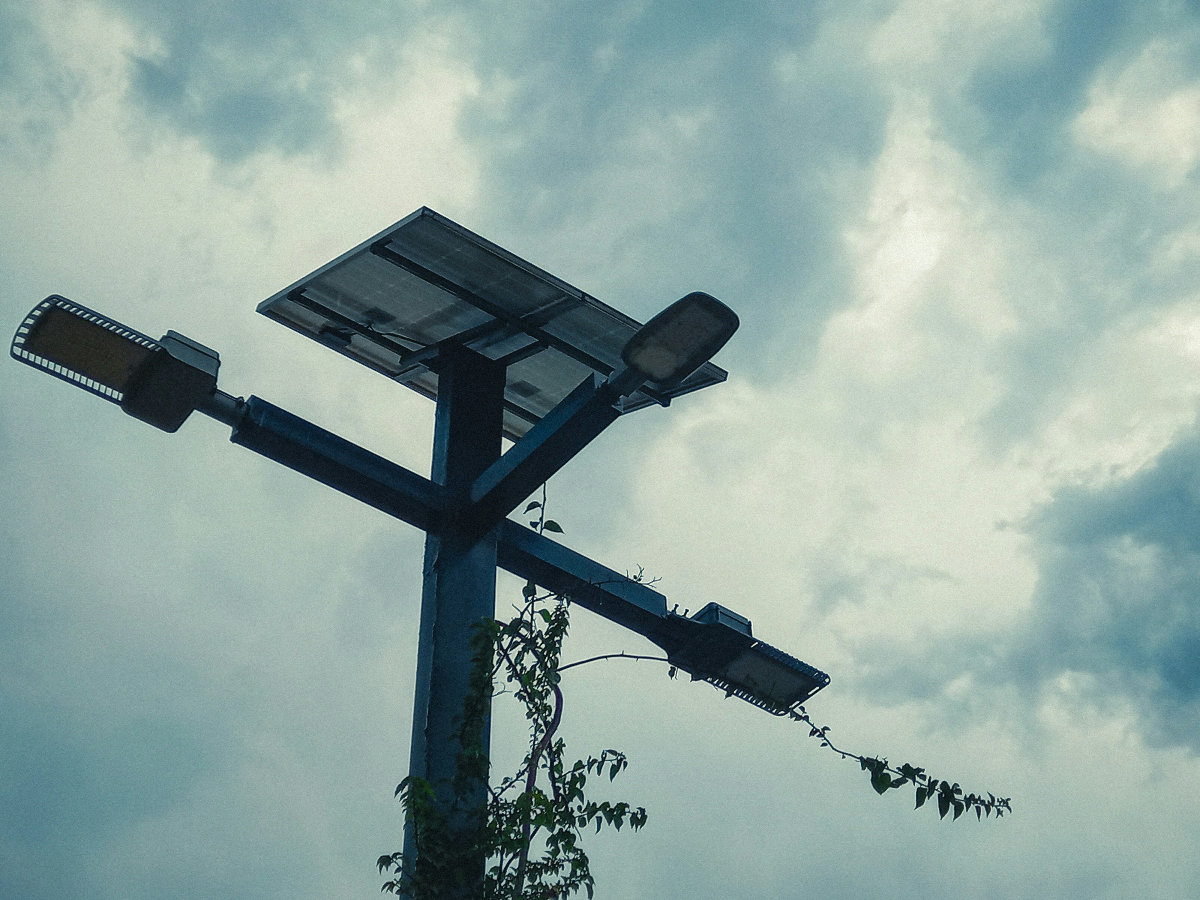 Solar-powered streetlight structure rises against a cloudy sky, with panels, arms, and creeping vines wrapped around the pole.