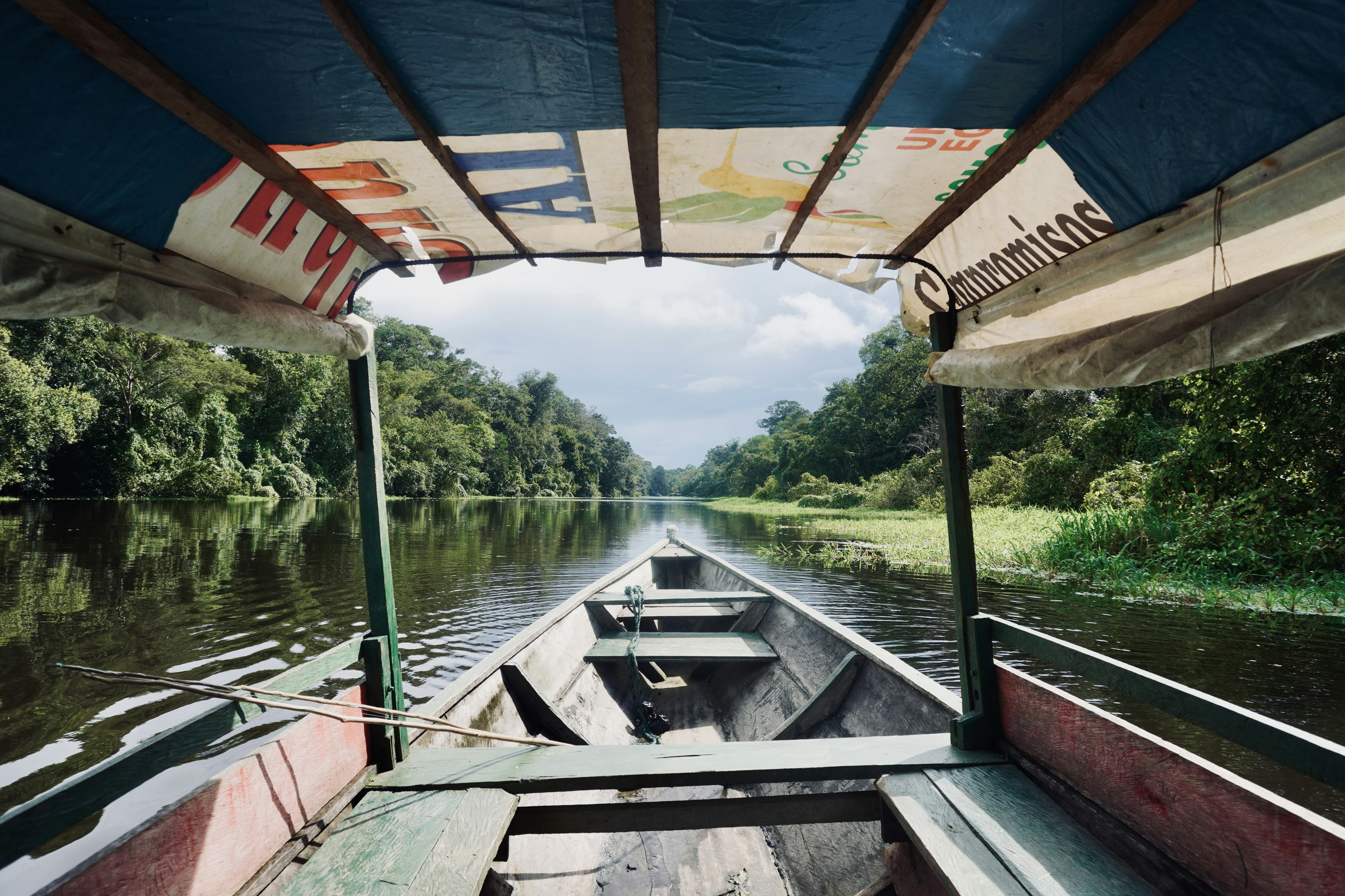 El barco viaja por un río sereno, rodeado de una exuberante naturaleza ...