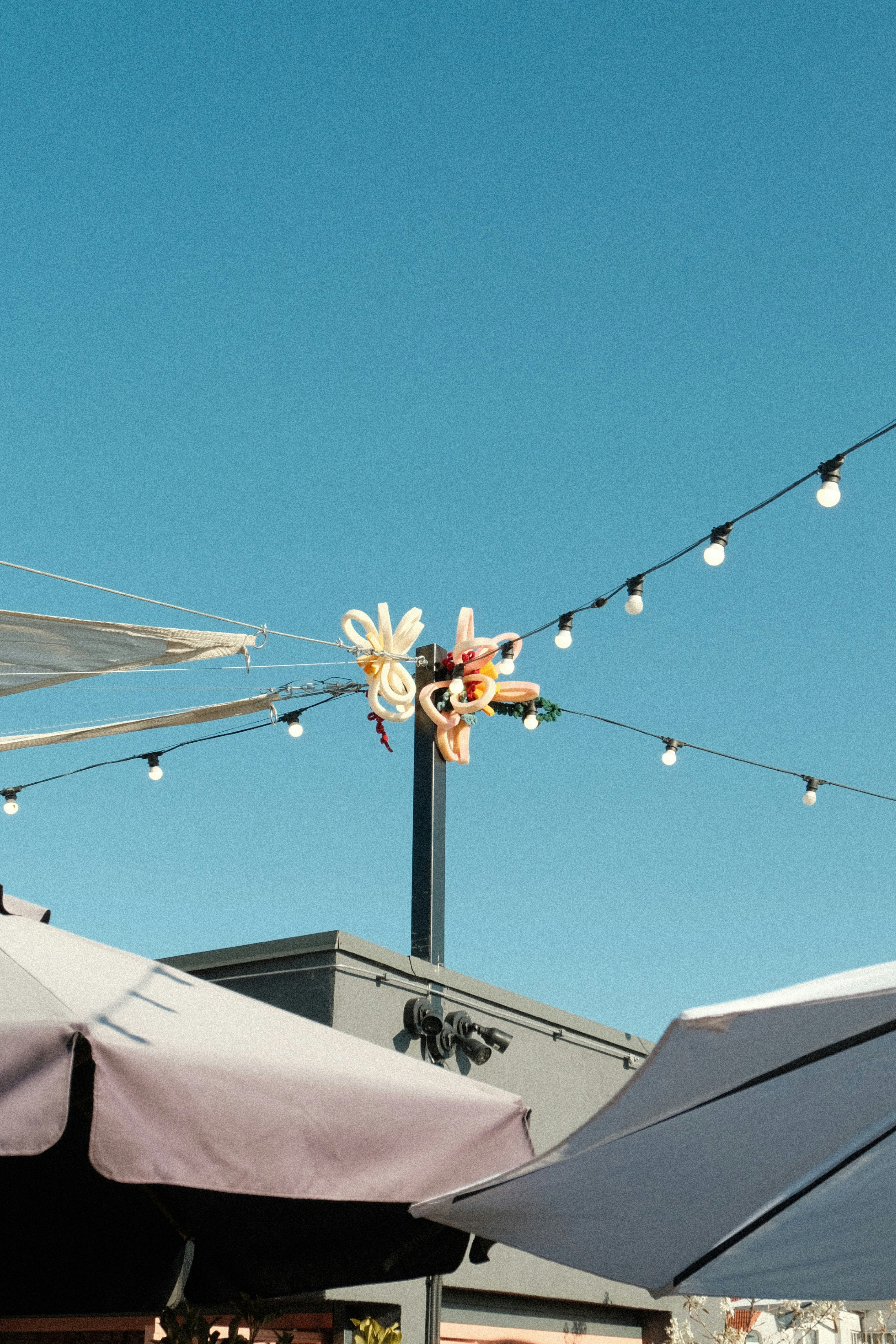 String Lights and Floral Emblem Above the Rooftop