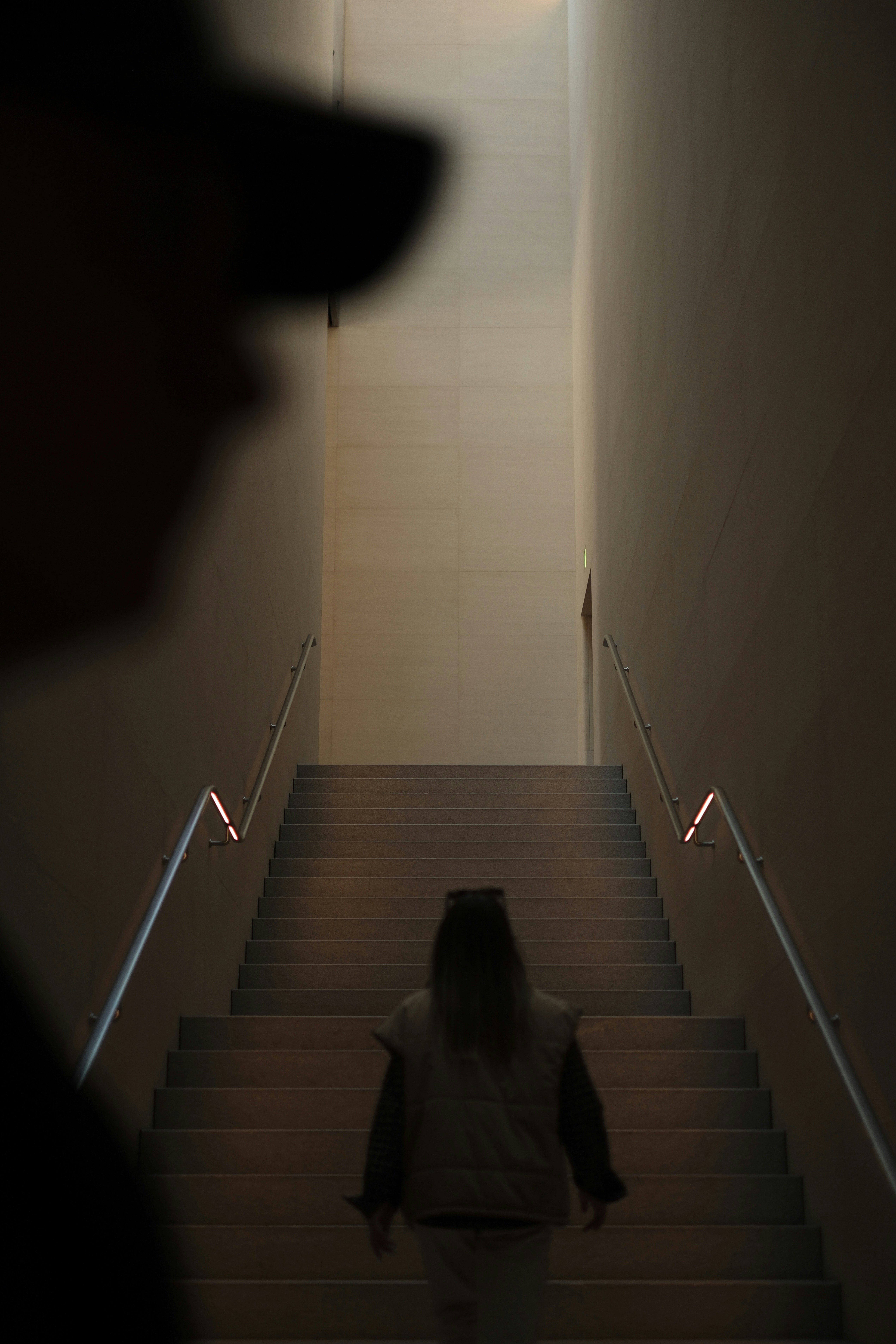 Muted Descent in a Dim Stairwell