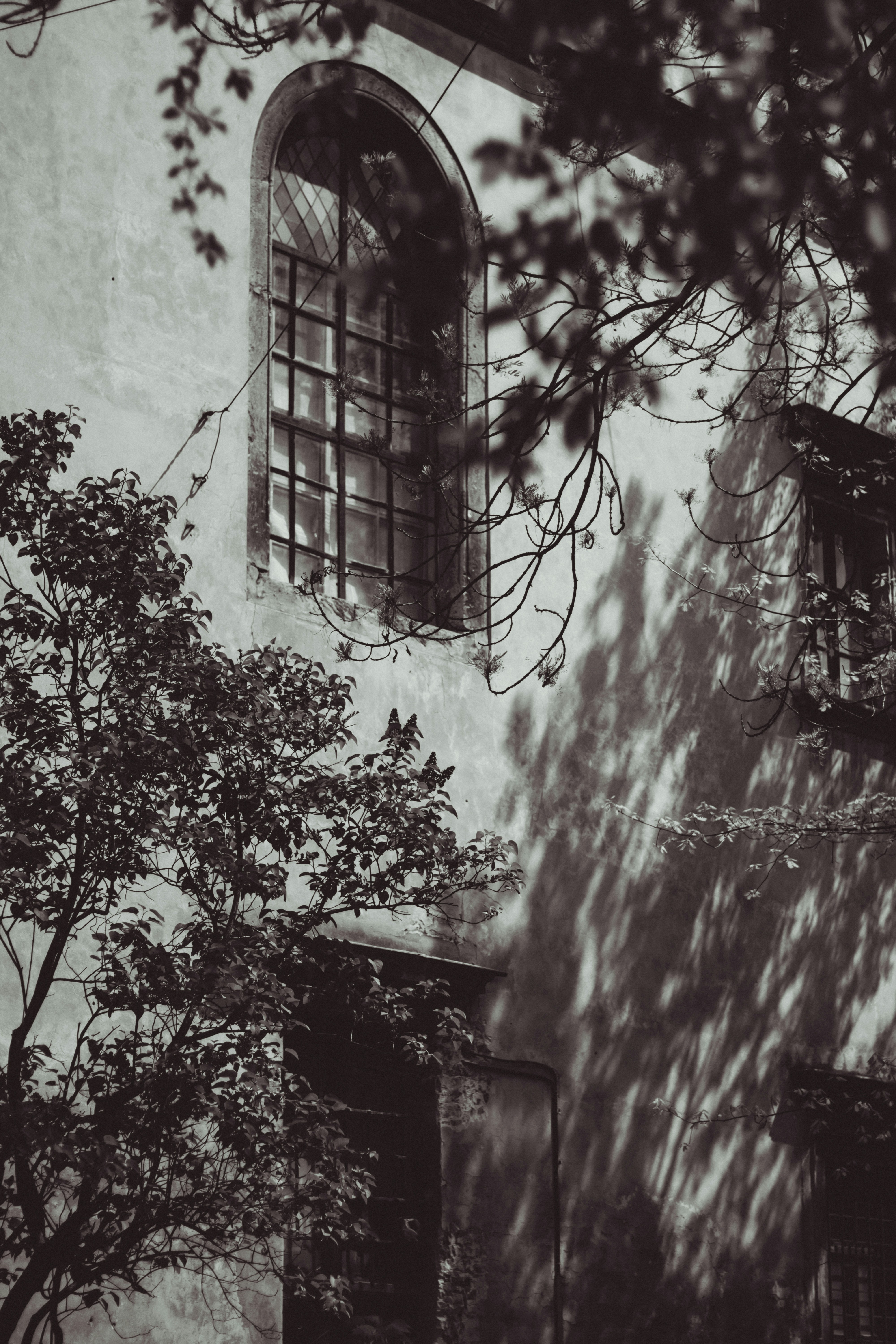 An arched window and tree shadows adorn the building. photo – Free ...