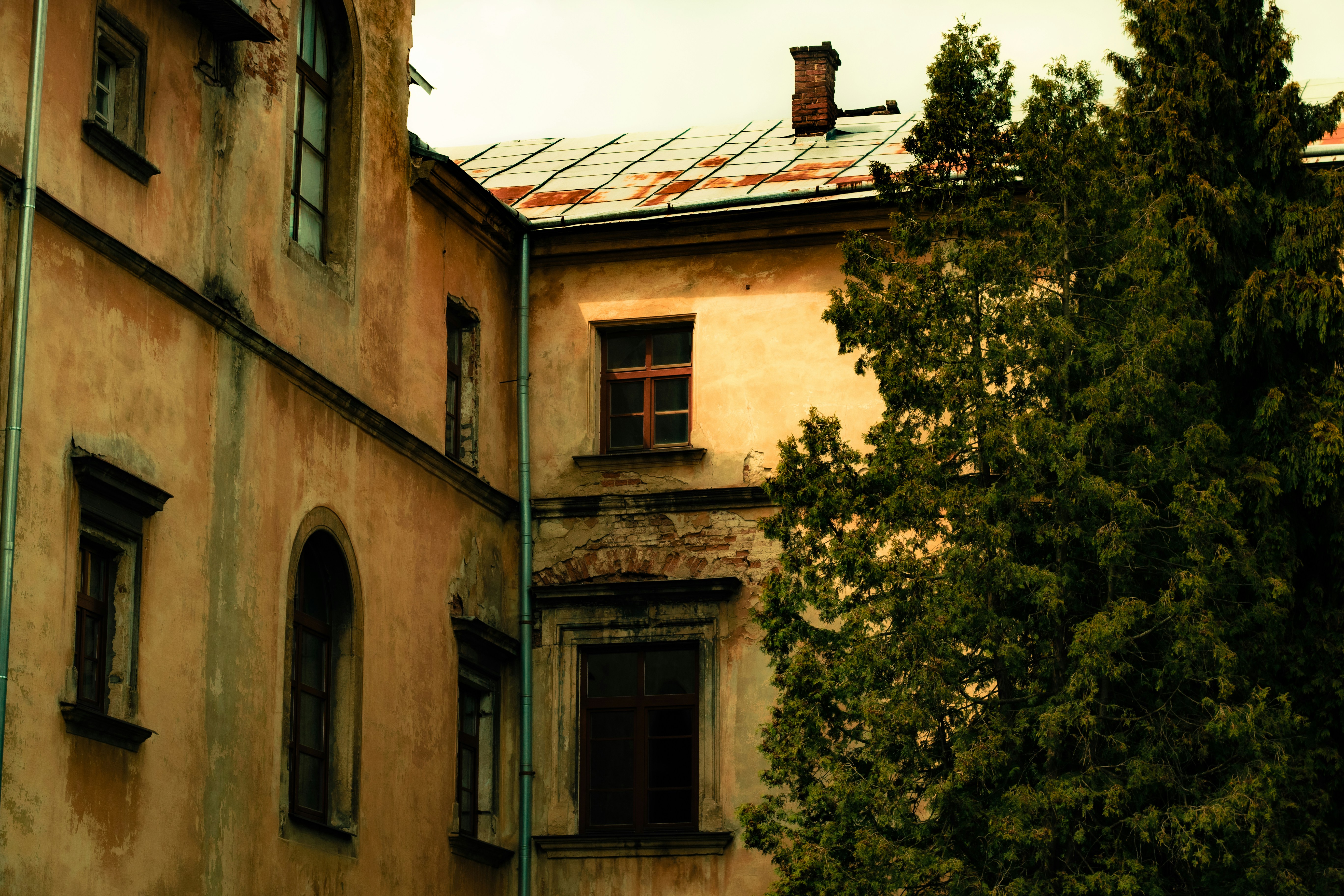Old, weathered buildings with trees and windows. photo – Free Building ...