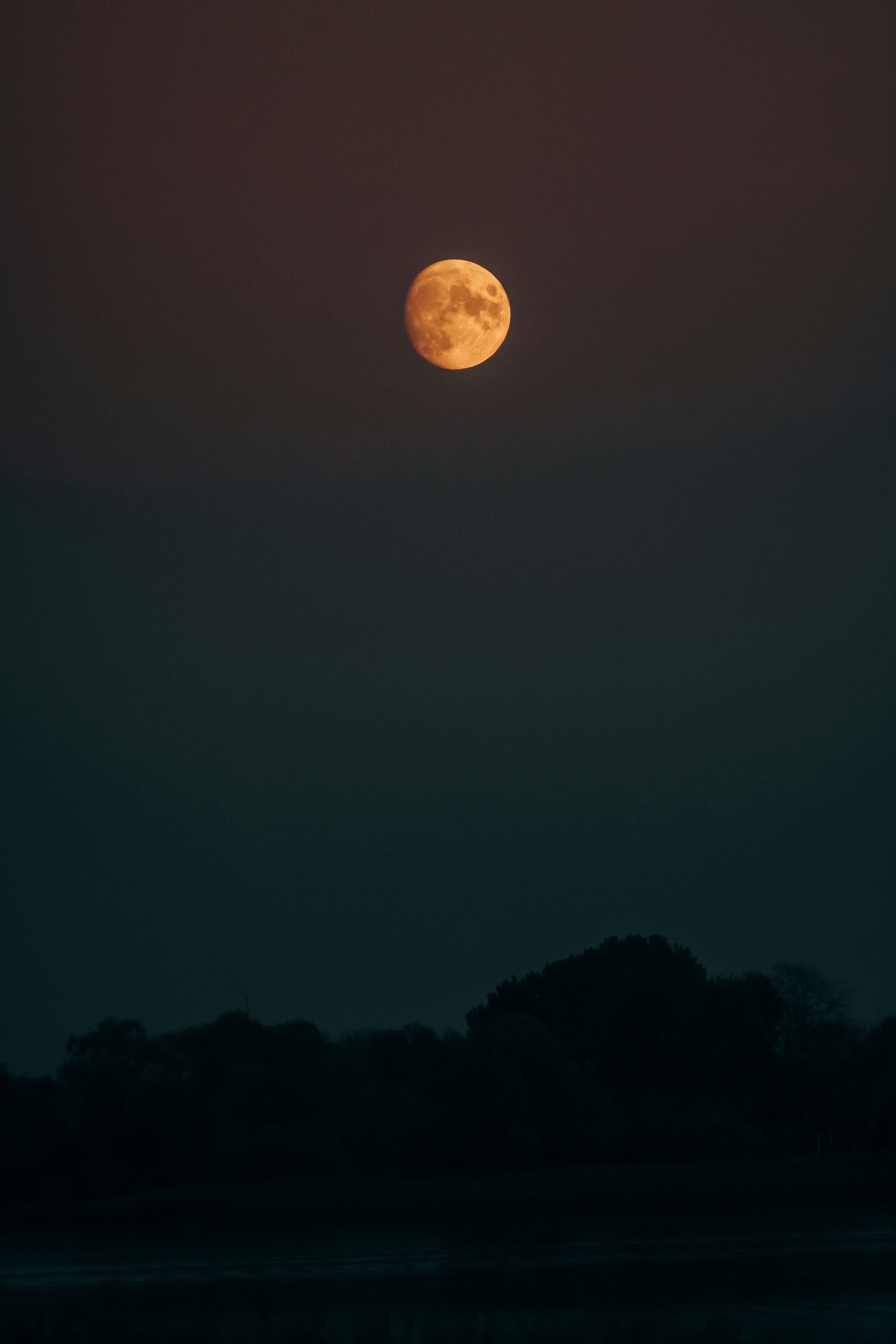 A large, orange moon shines in the night sky. photo – Free Aesthetic ...
