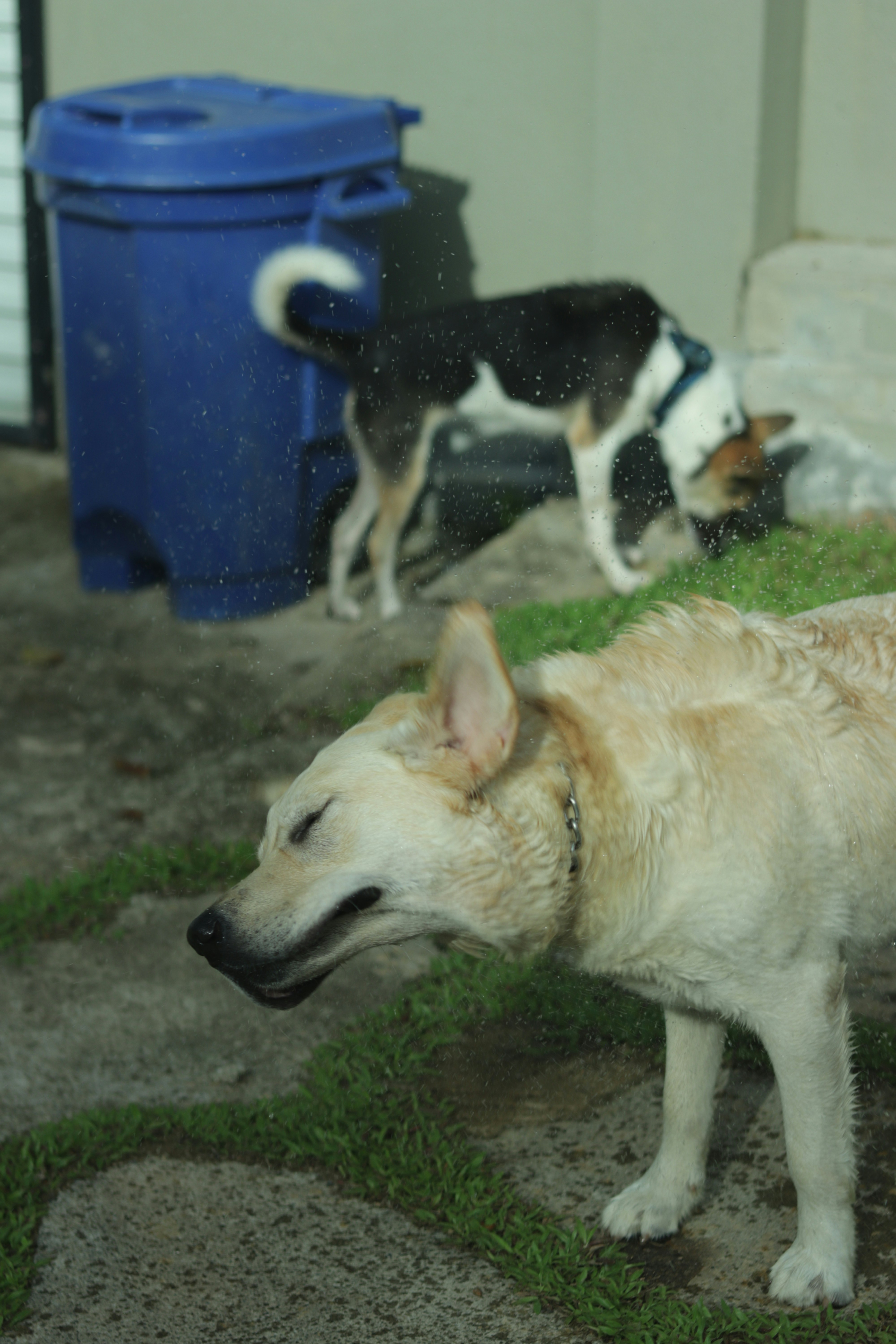 Devin Woody (@devinwoody) | Communauté photos Unsplash