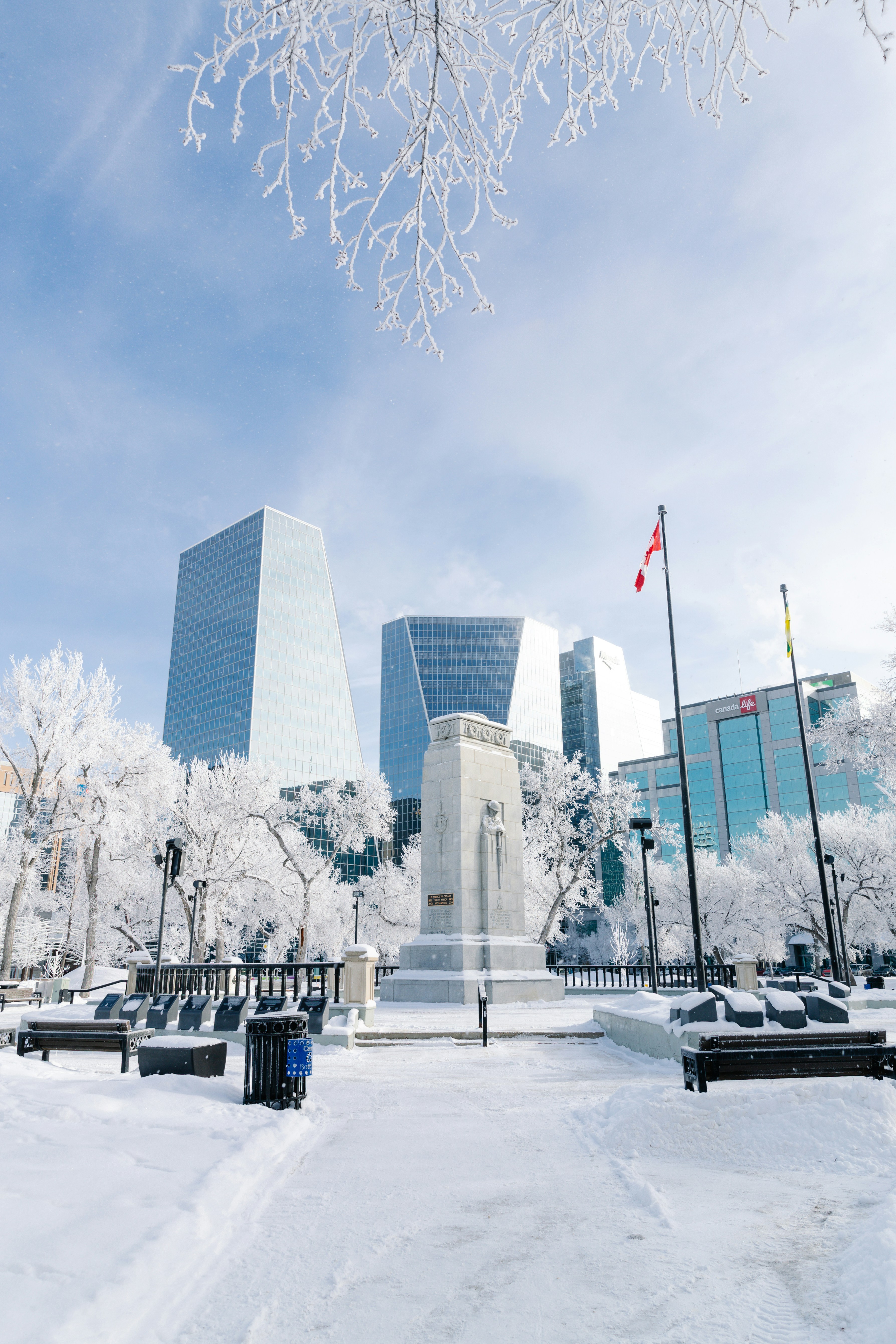 Frozen Serenity Amidst Urban Giants