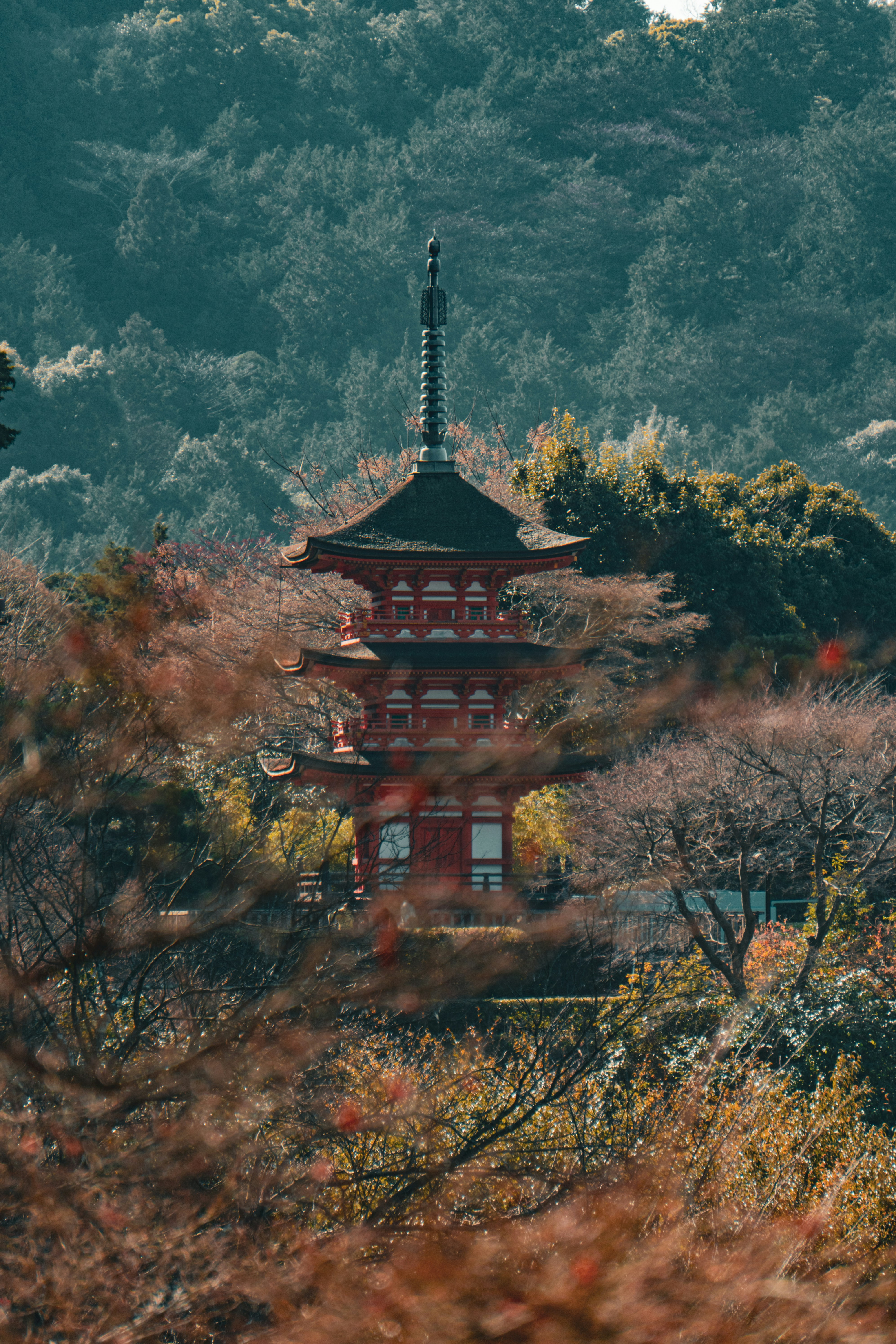 Photo by Matheus Moura with Sony Alpha 6400