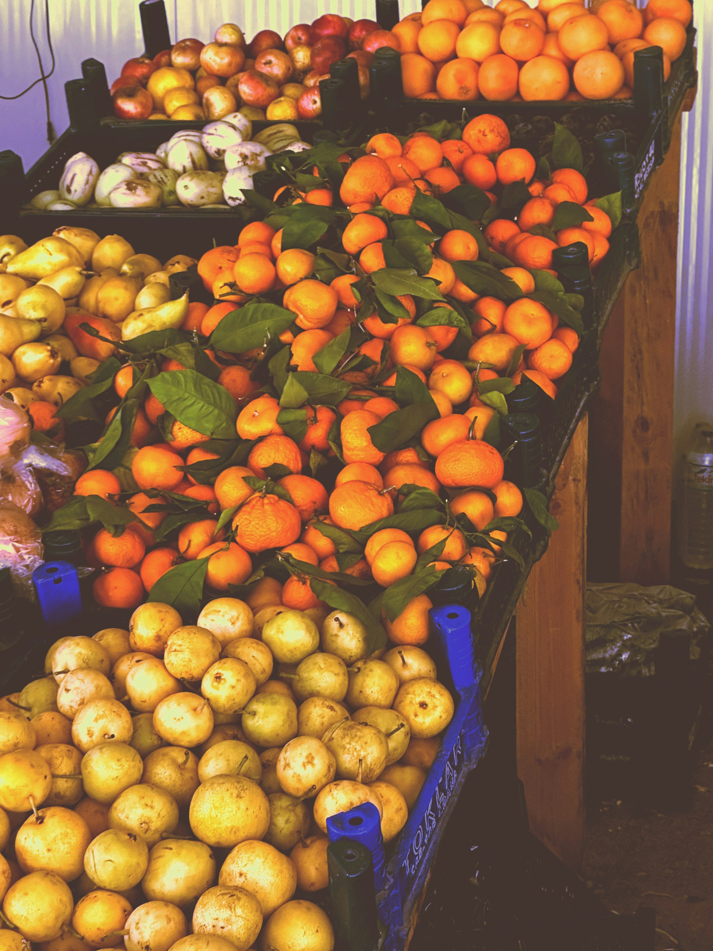 Cratebound Citrus: A Market Stack of Oranges and Lemons with Fresh Leaves