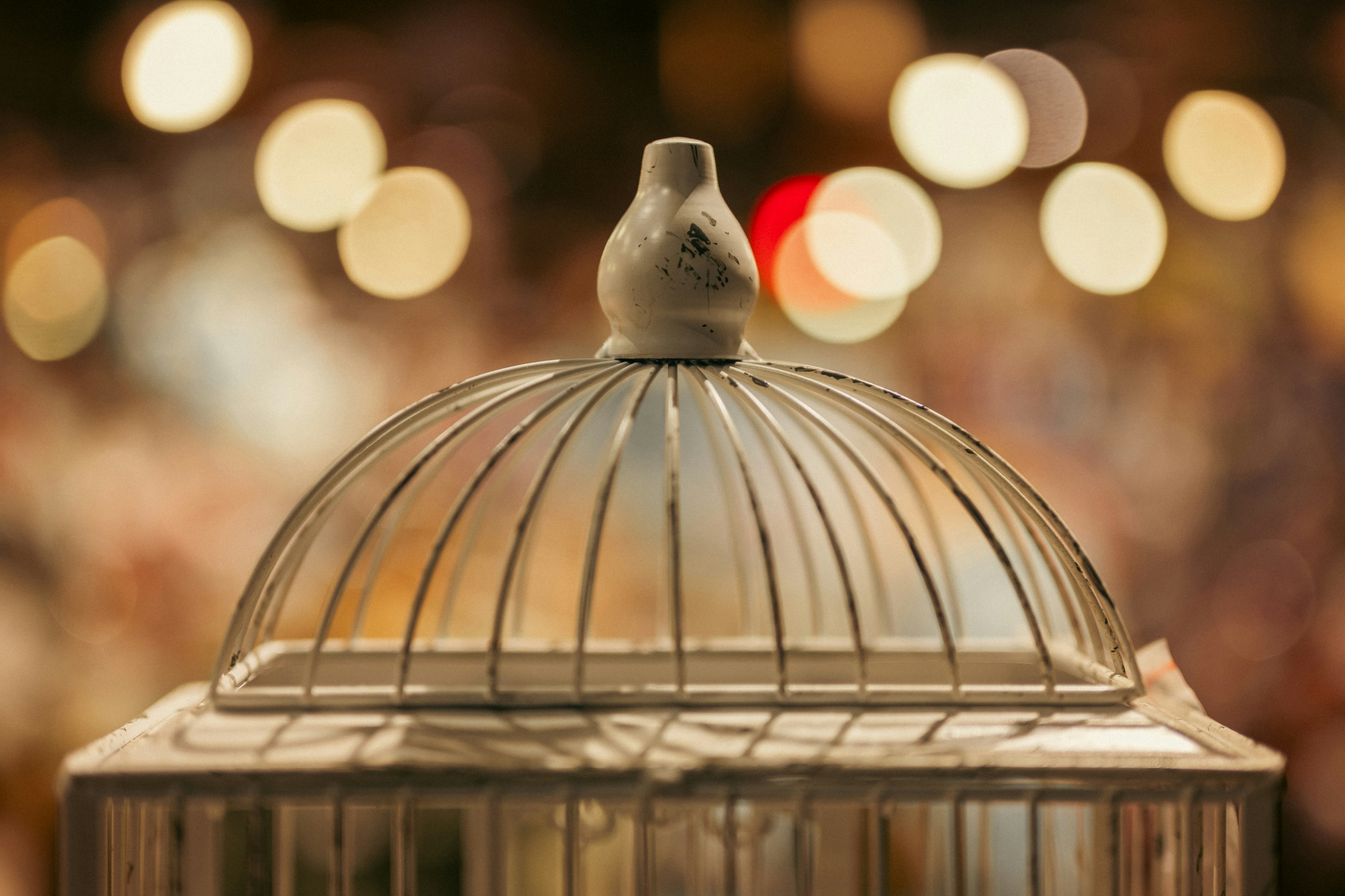 Metal Crown in Warm Bokeh: Close-Up on a Birdcage Dome