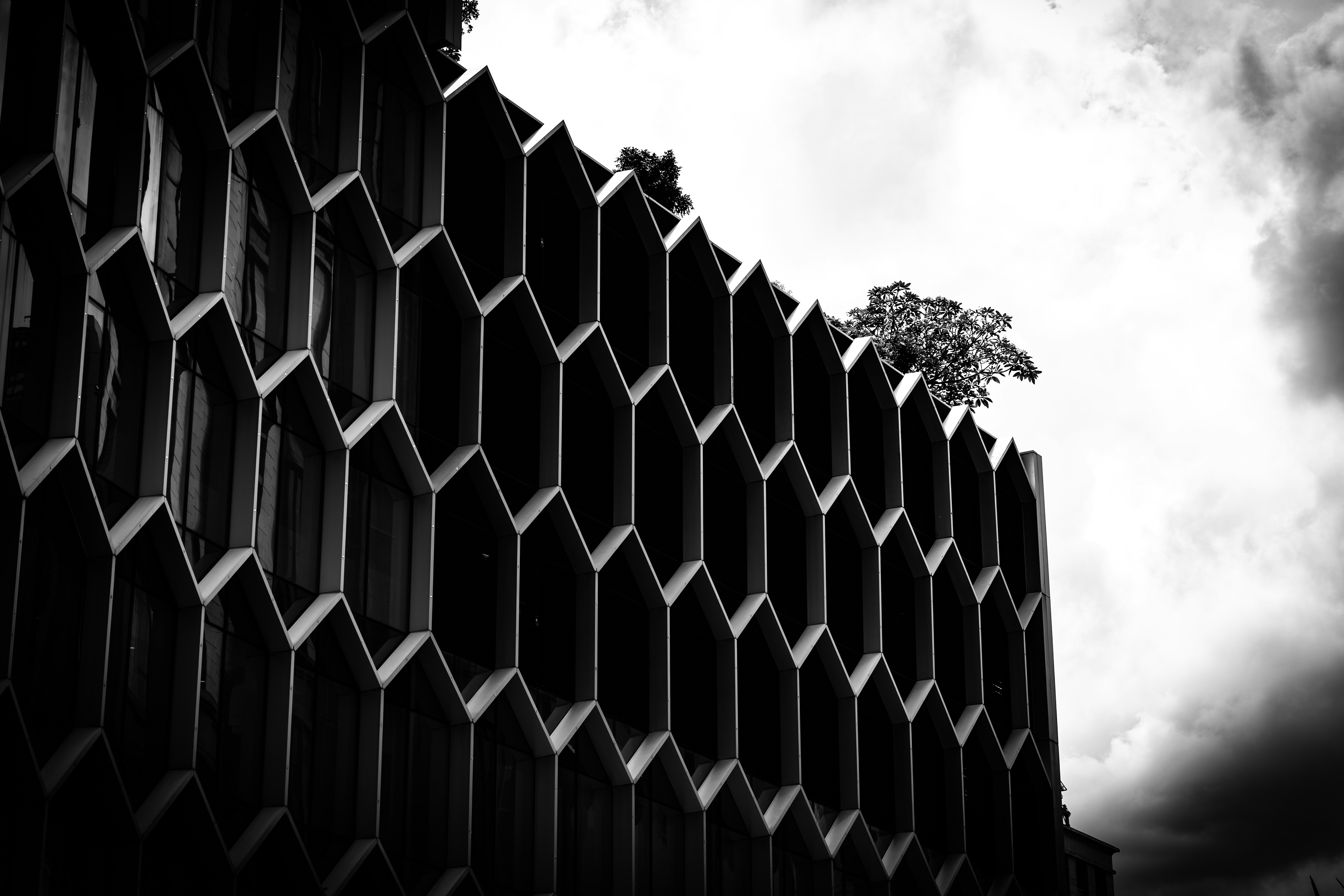 Converging Hexagons: Monochrome Facade Study