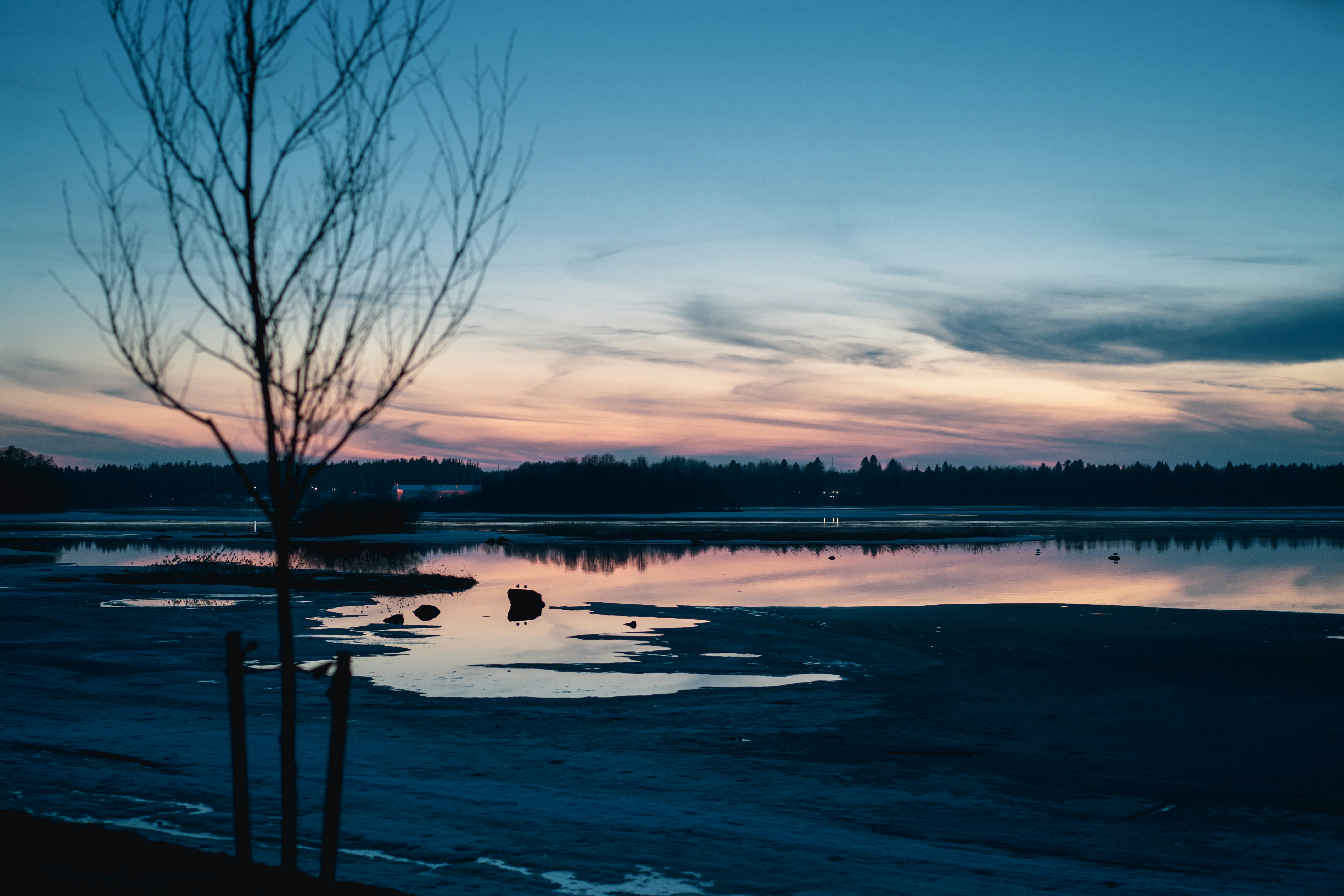 Dusk Reflections: A Silhouetted Tree Framing the Quiet Lake