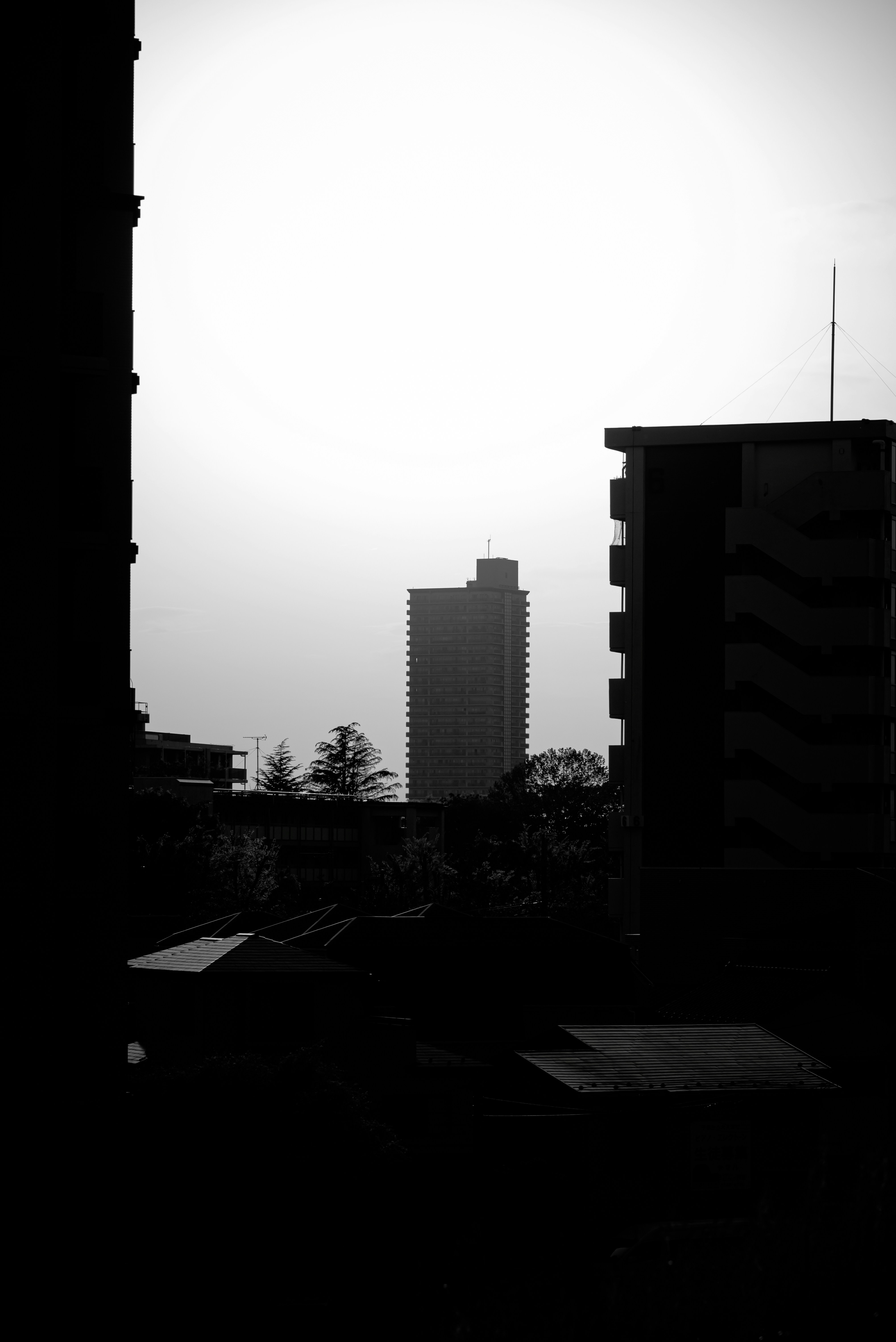 Monochrome Skyline: The Distant Tower Between Shadowed Giants