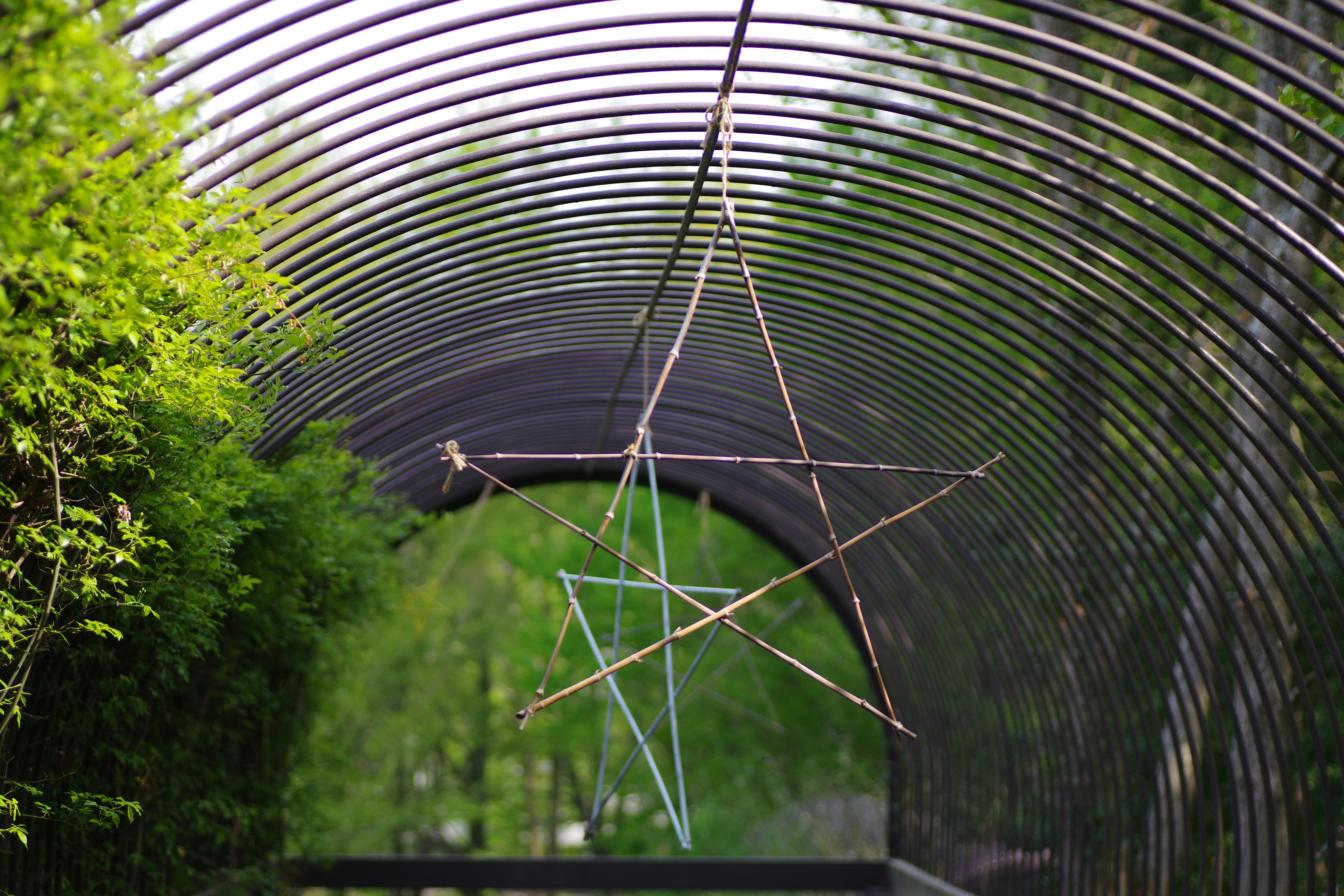 Star-Frame Suspended Inside a Corrugated Tunnel