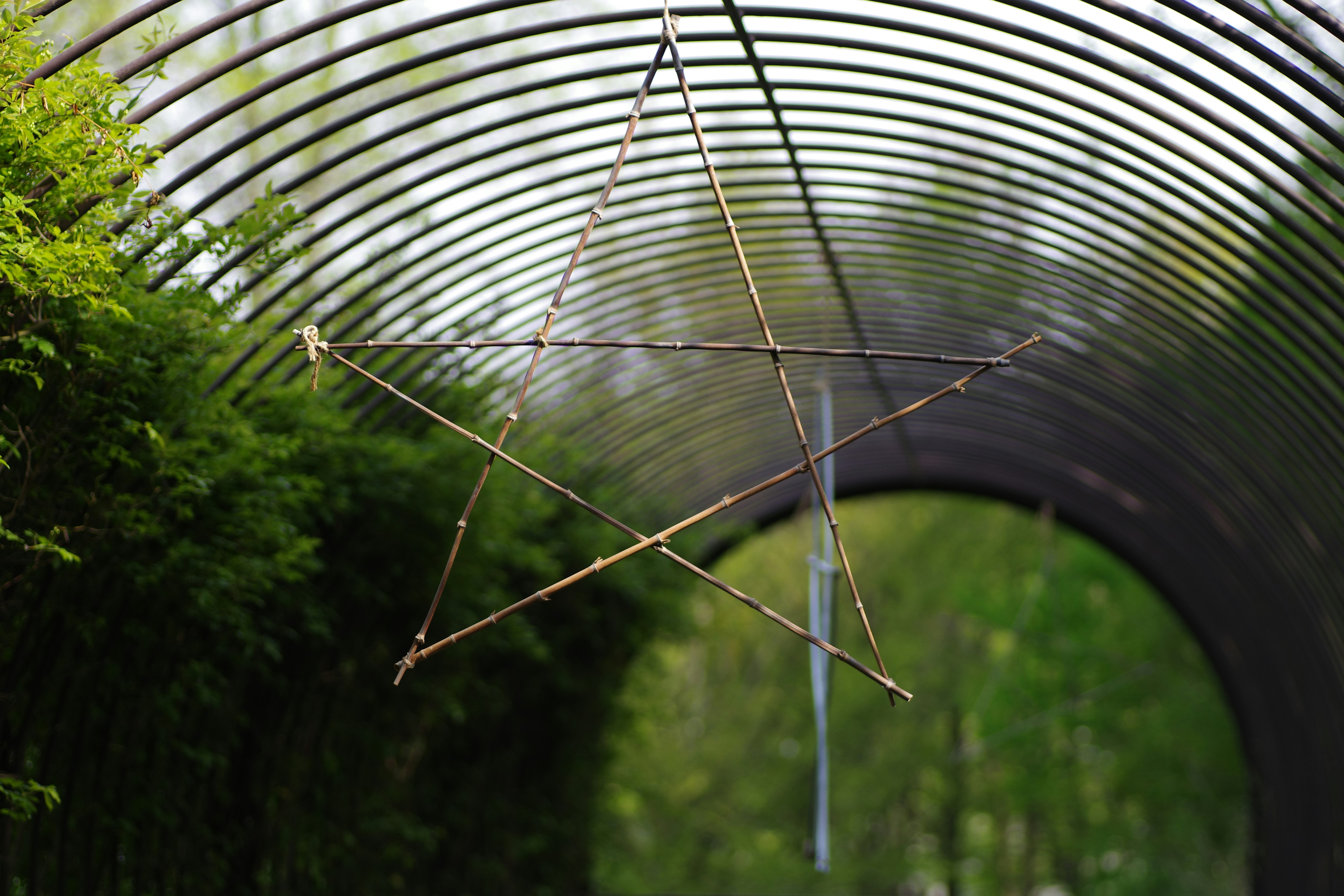 Suspended Twig Star Under a Ribbed Tunnel Arch