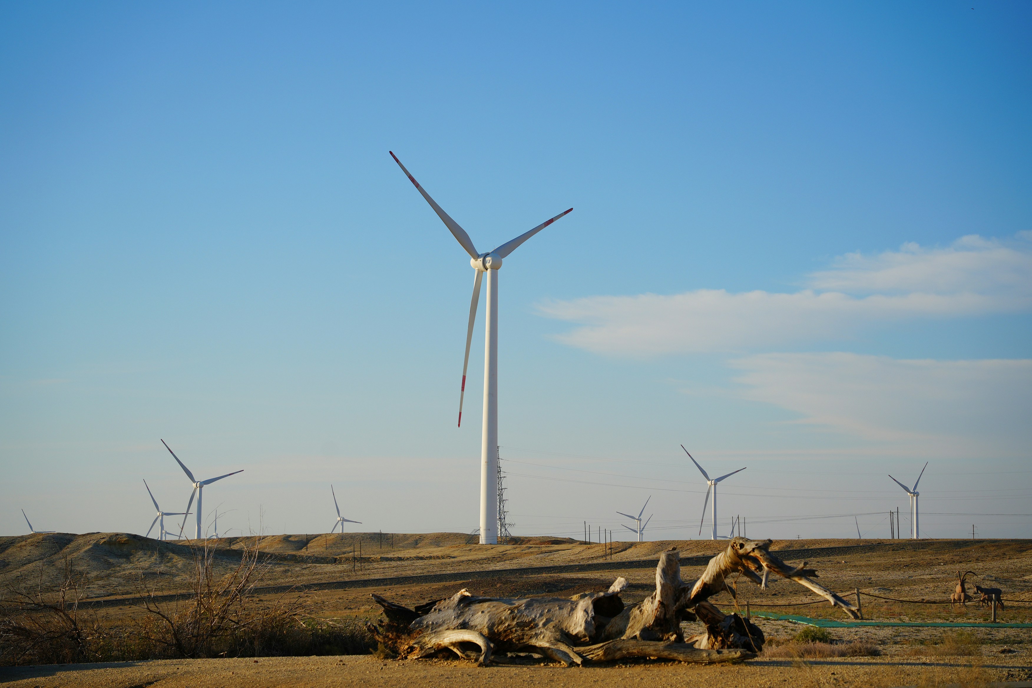 Photo by Leafy Yue with Sony Alpha 7 IV