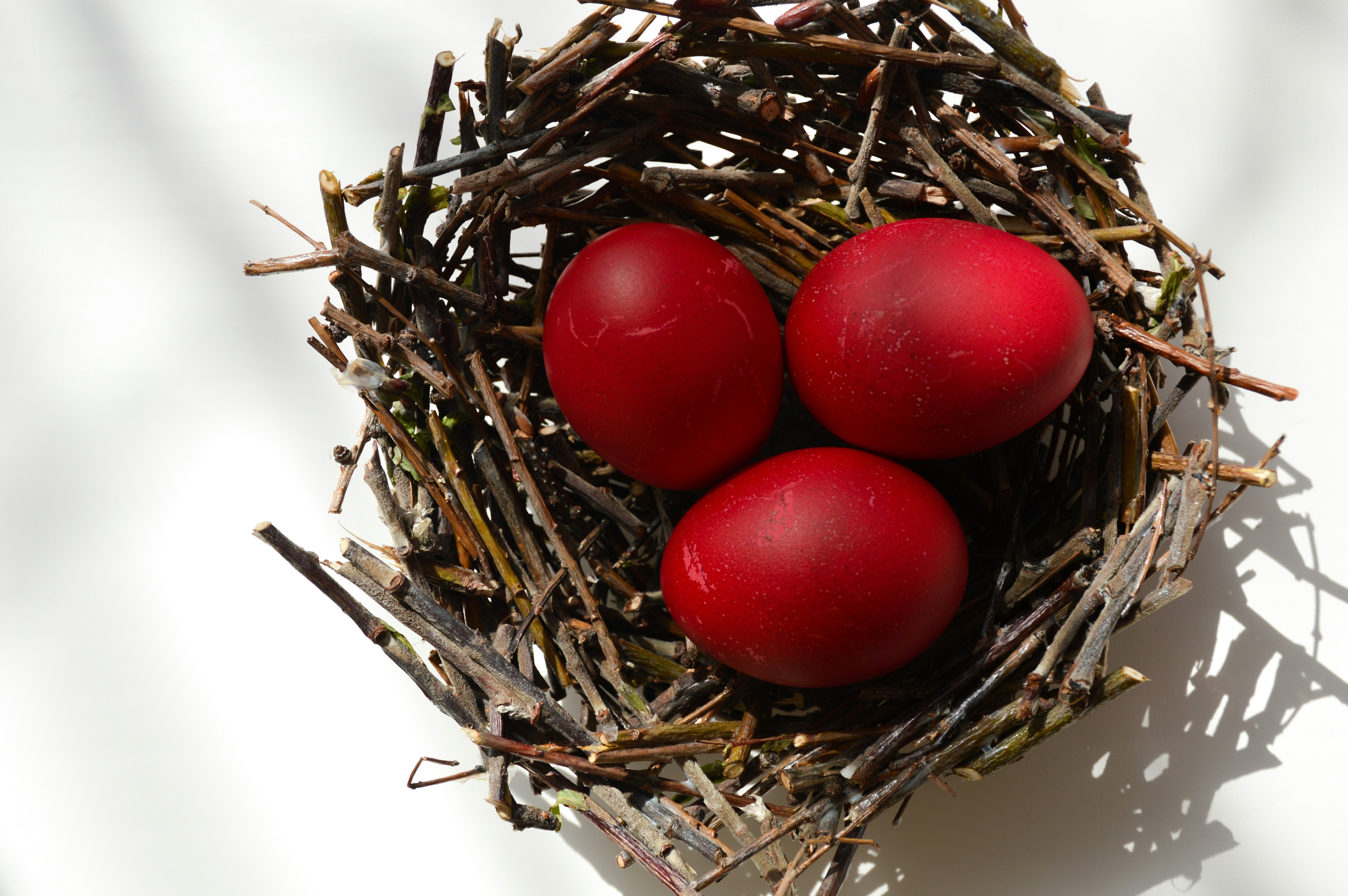 Three red eggs rest comfortably in a nest. photo – Free Easter Image on ...