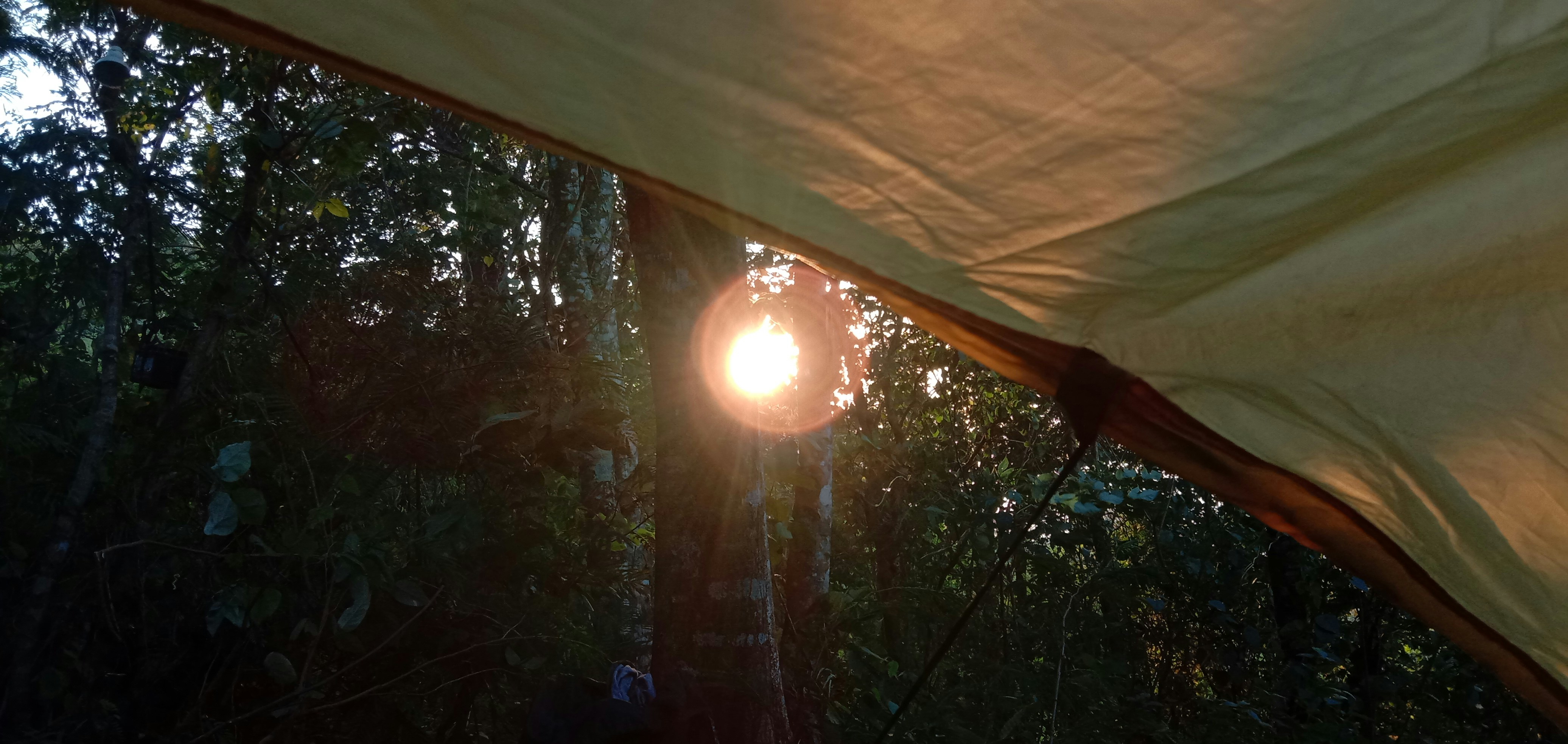 Photo by tri widya with Vivo Y91i