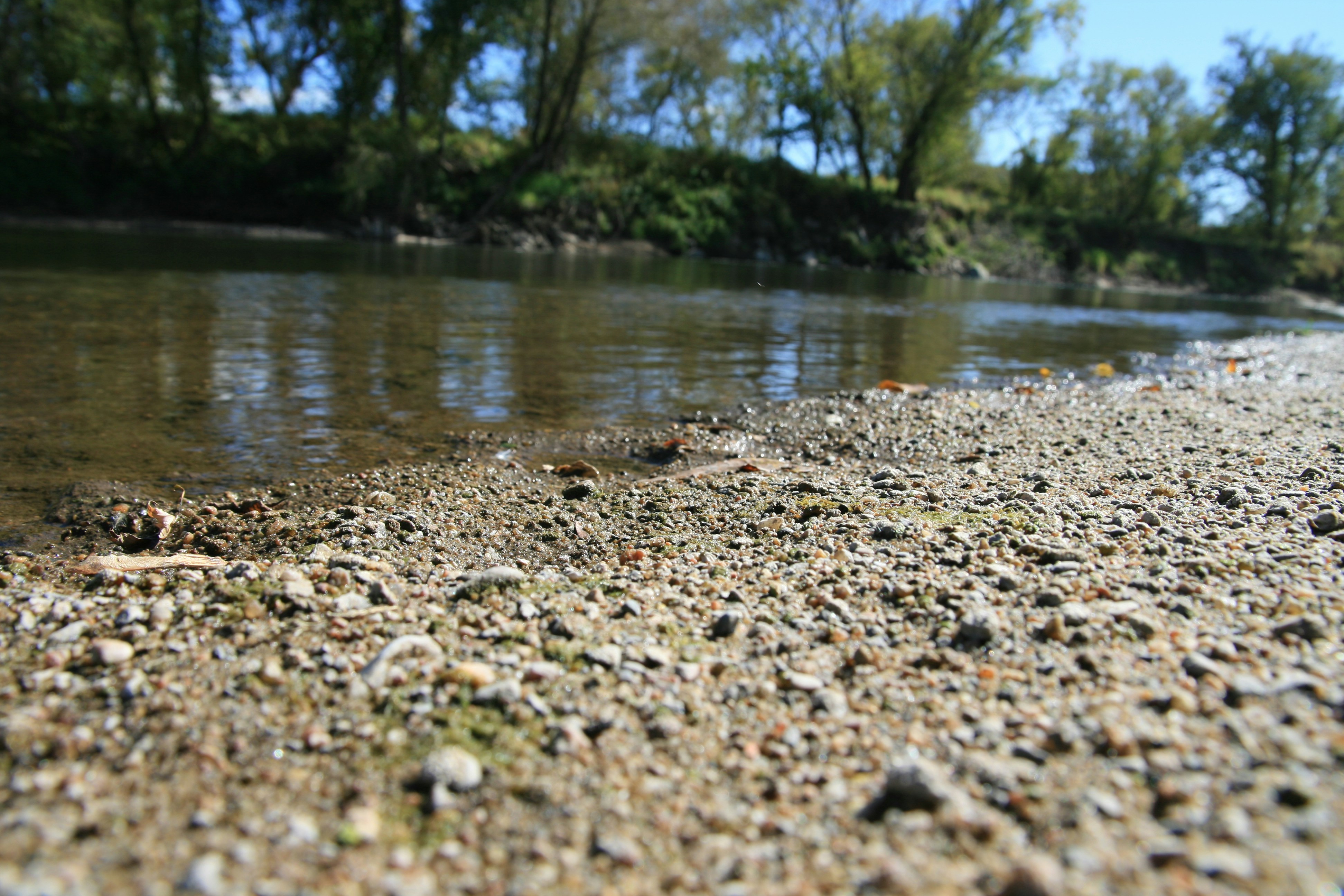 Photo by L S with Canon EOS 400D