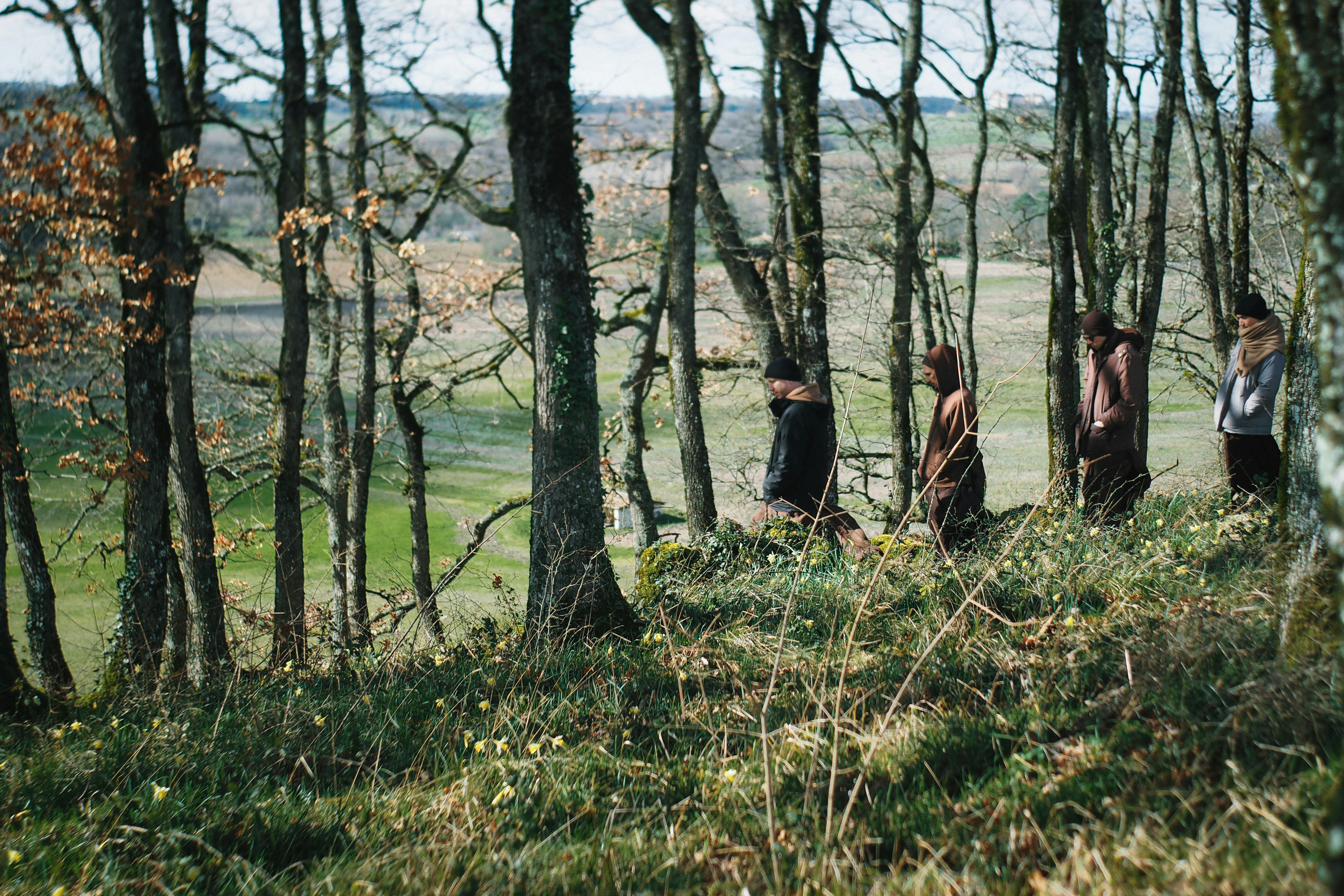 Cloaked Wanderers Thread a Quiet Line Through a Ridge-Top Forest