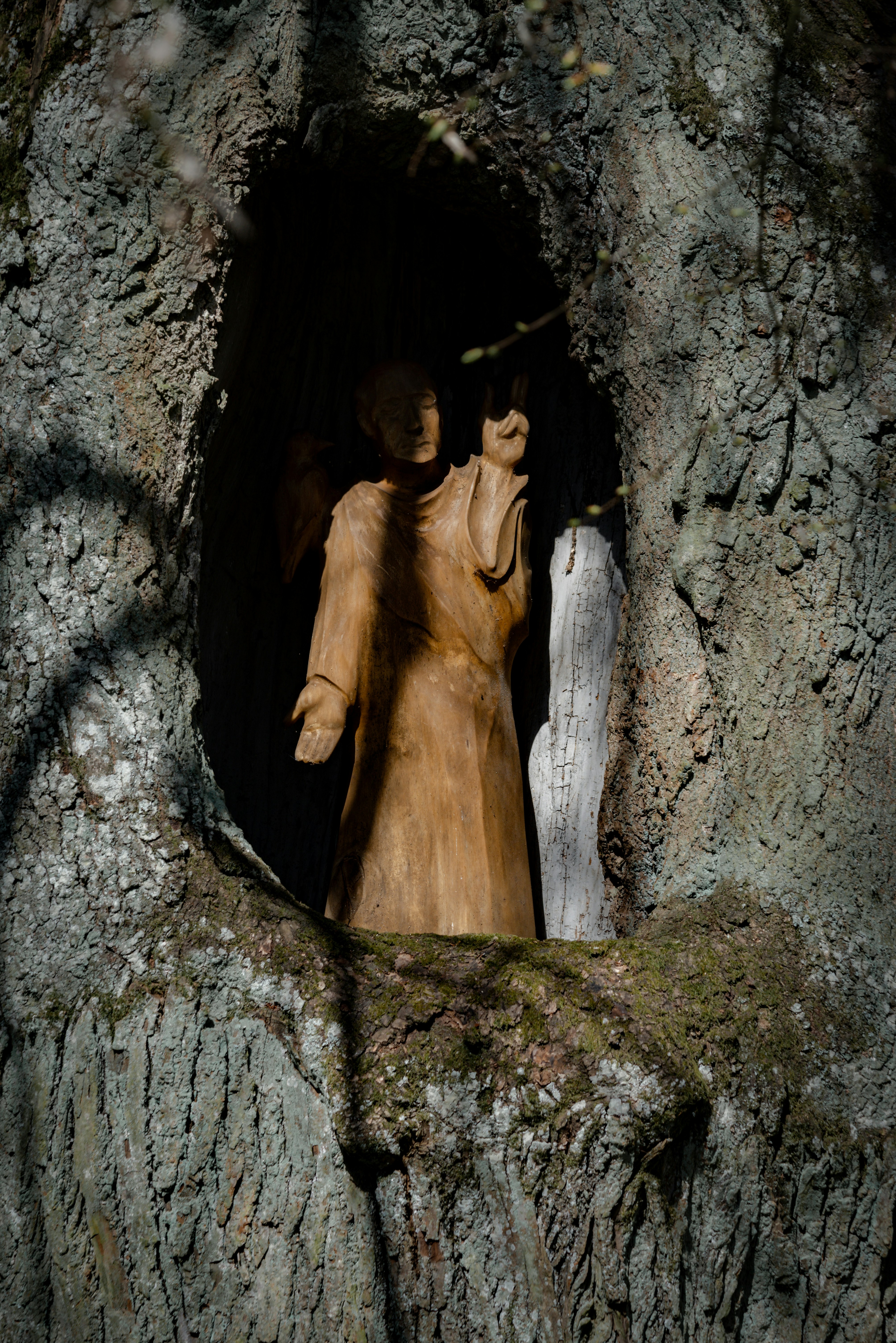 Whittled Sentinel in the Tree's Quiet Heart