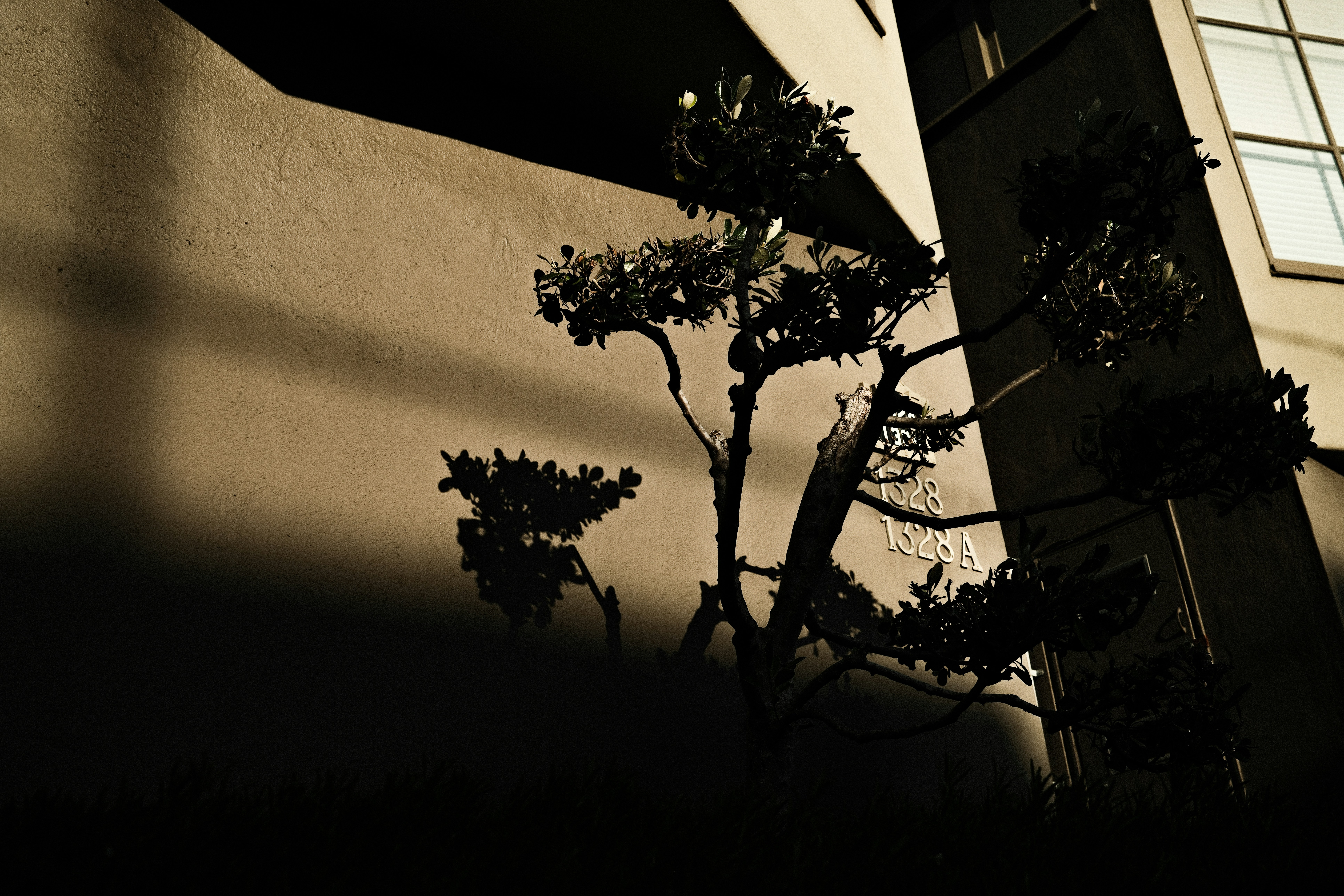 Kellen Riggin (@kalaniparker) | Unsplash Photo Community