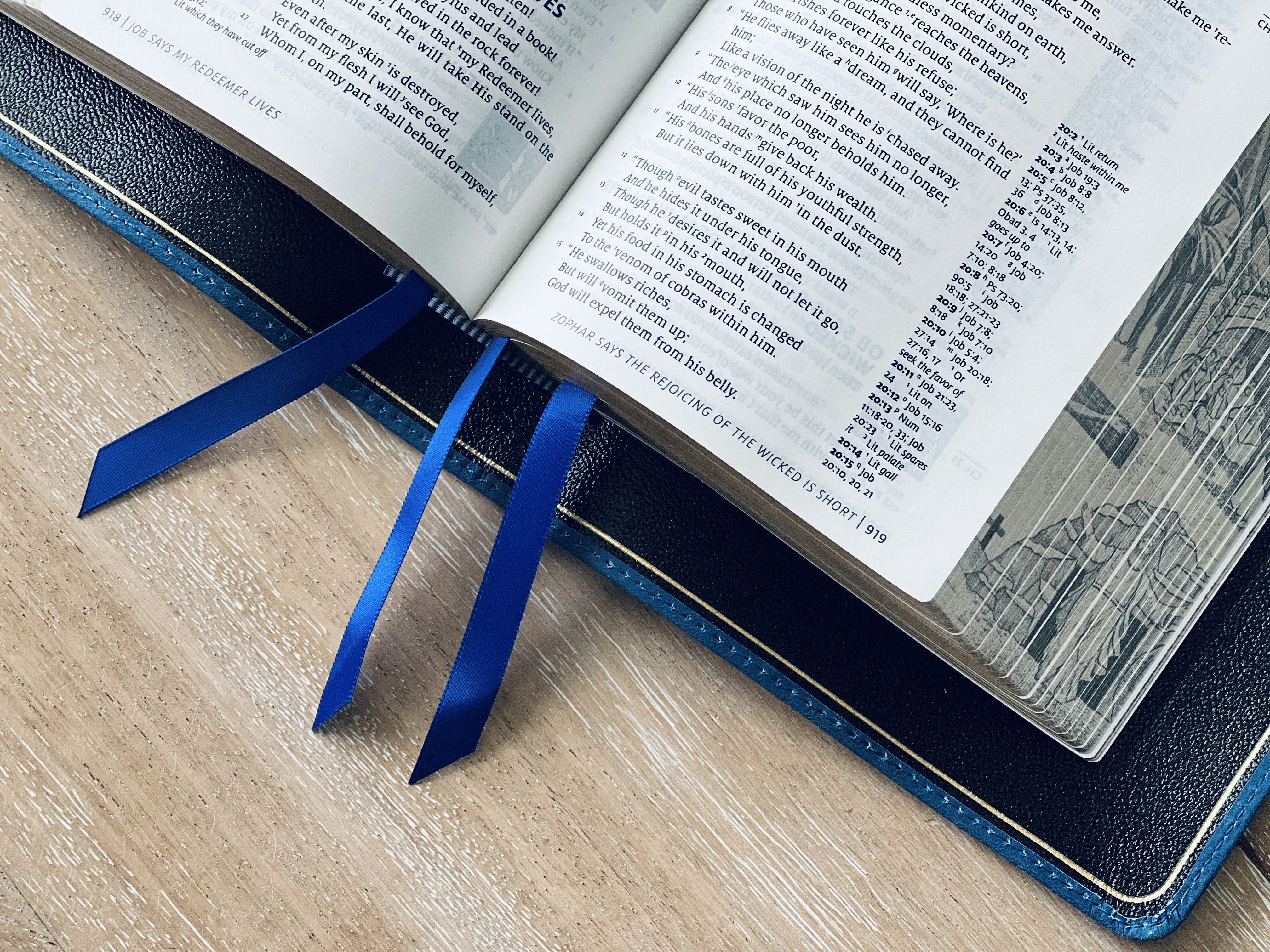 An open bible with blue ribbon bookmarks. photo – Free Blue Image on ...