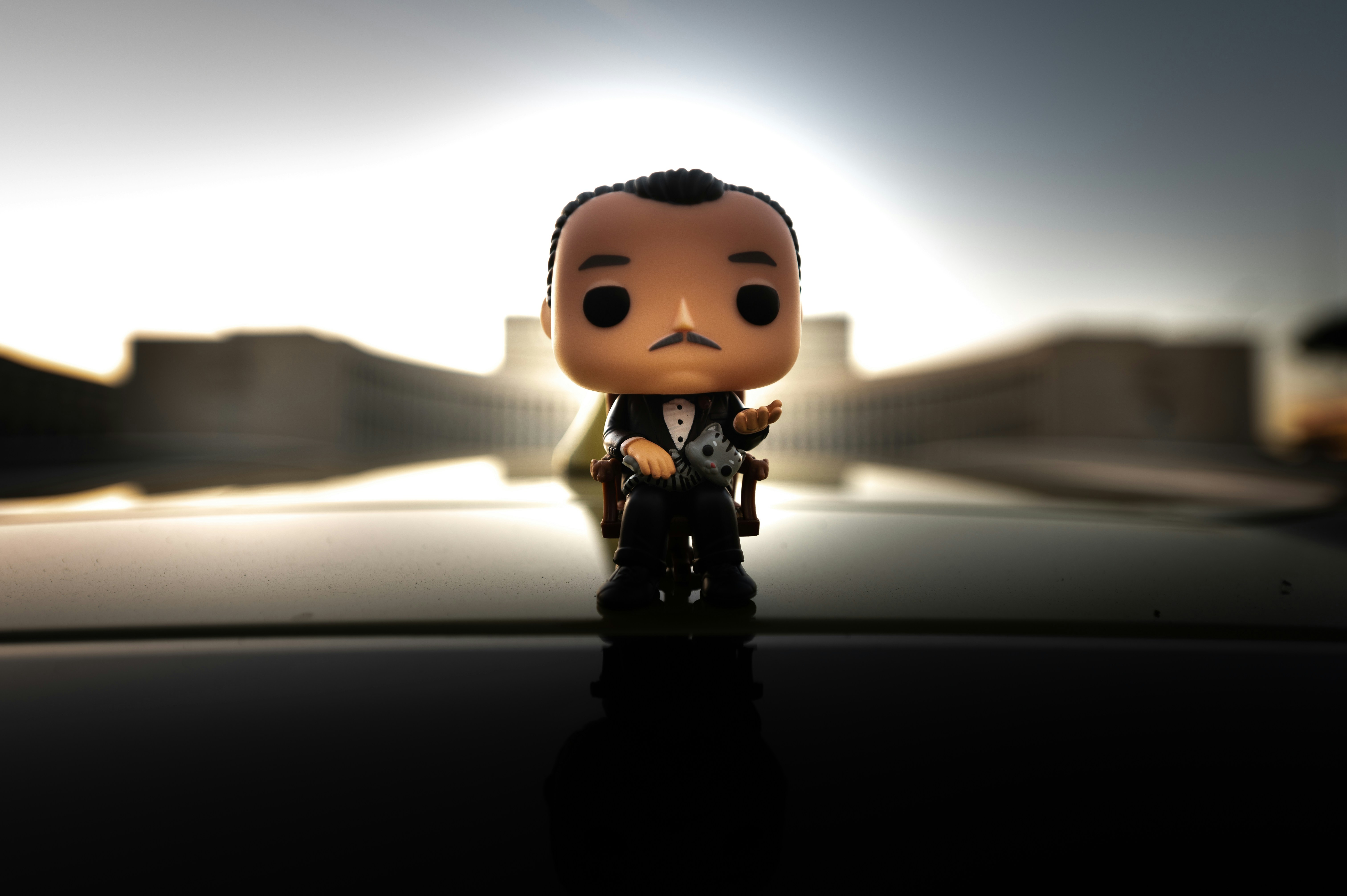 Backlit Silhouette: A Tiny Outlaw Guards the Edge of Light