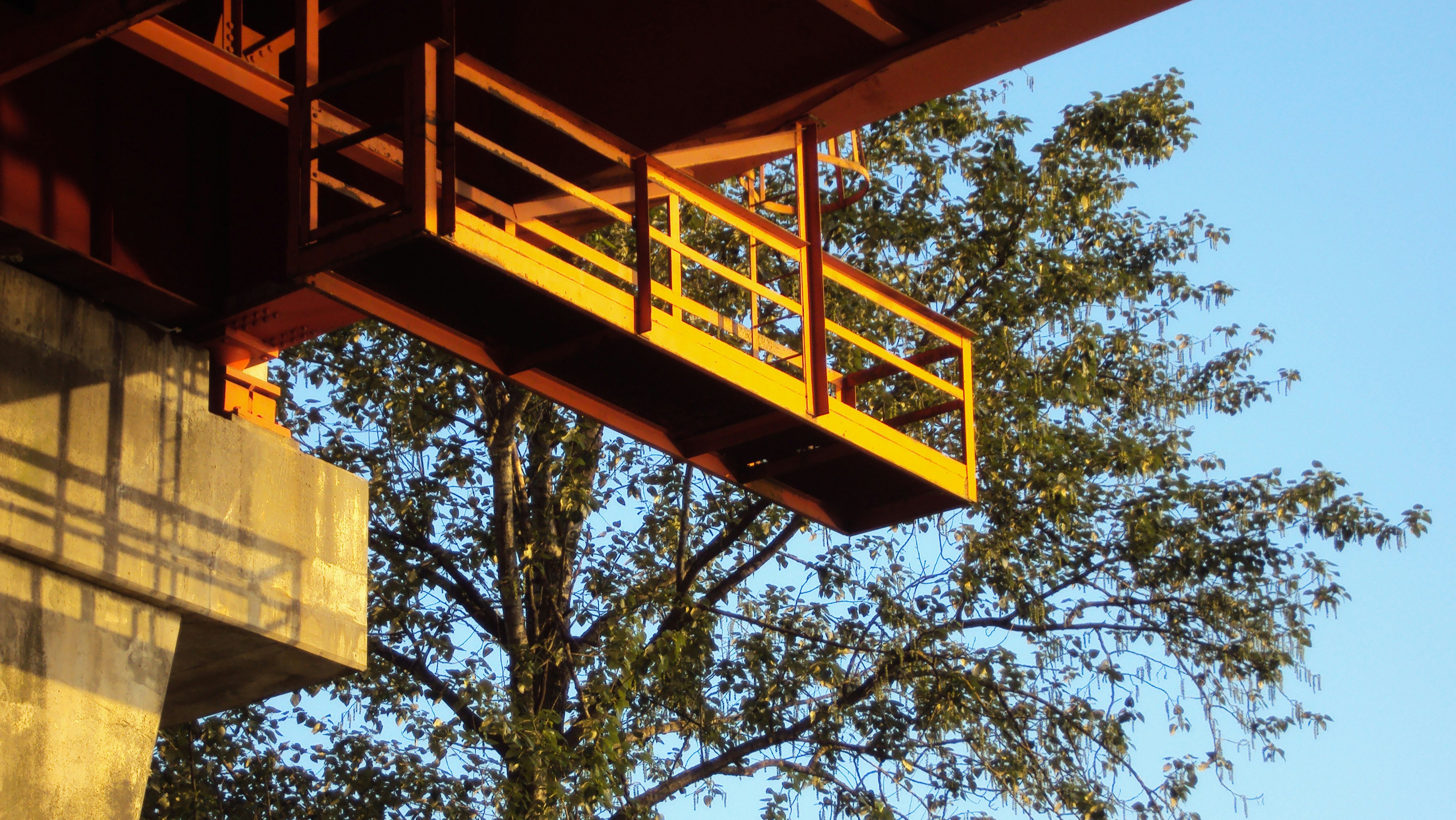 Amber Painted Walkway Overlook