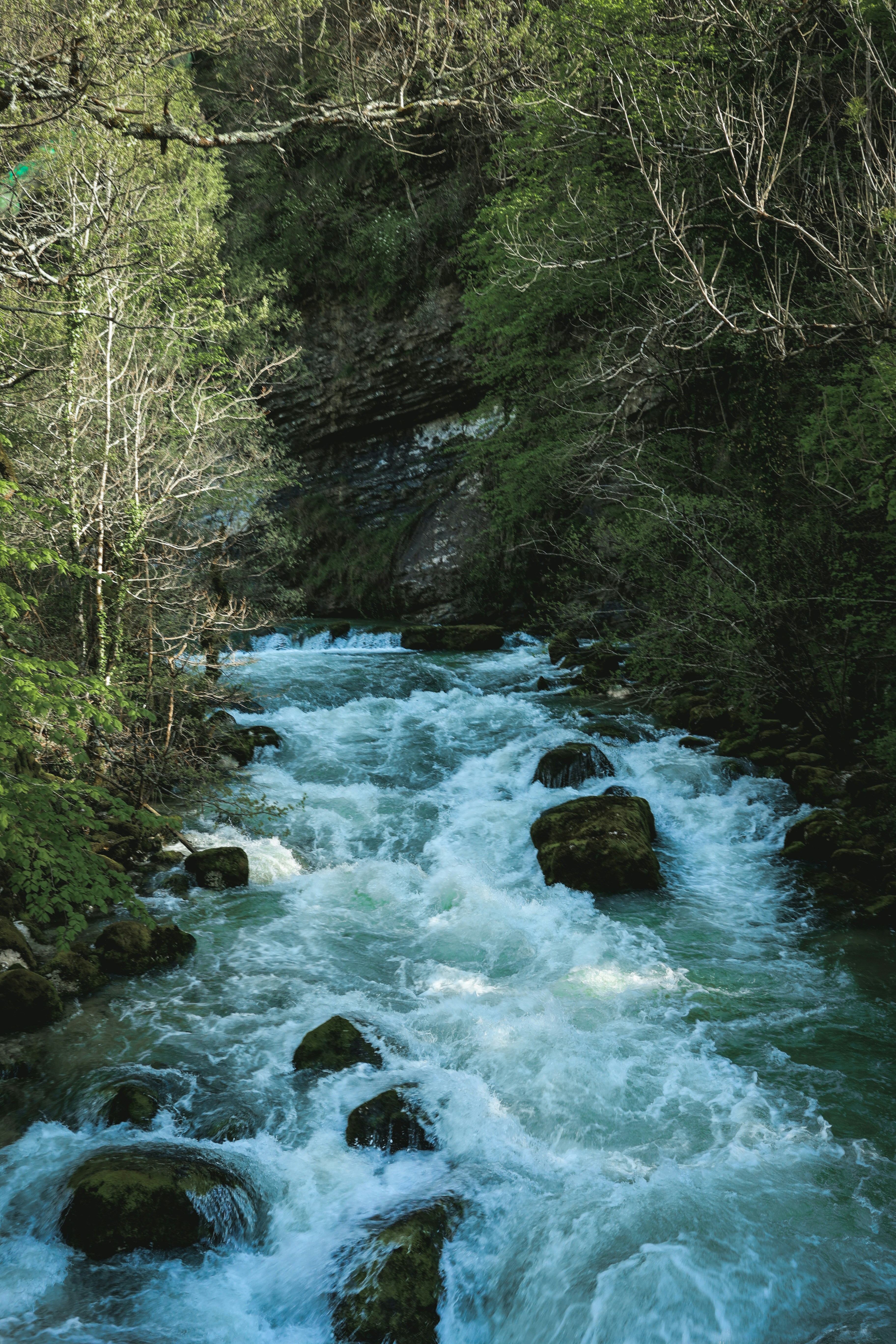 Rushing river flows through a lush green landscape, with rocks peeking through the vibrant blue water. The scene captures the tranquil essence of nature's rhythm.