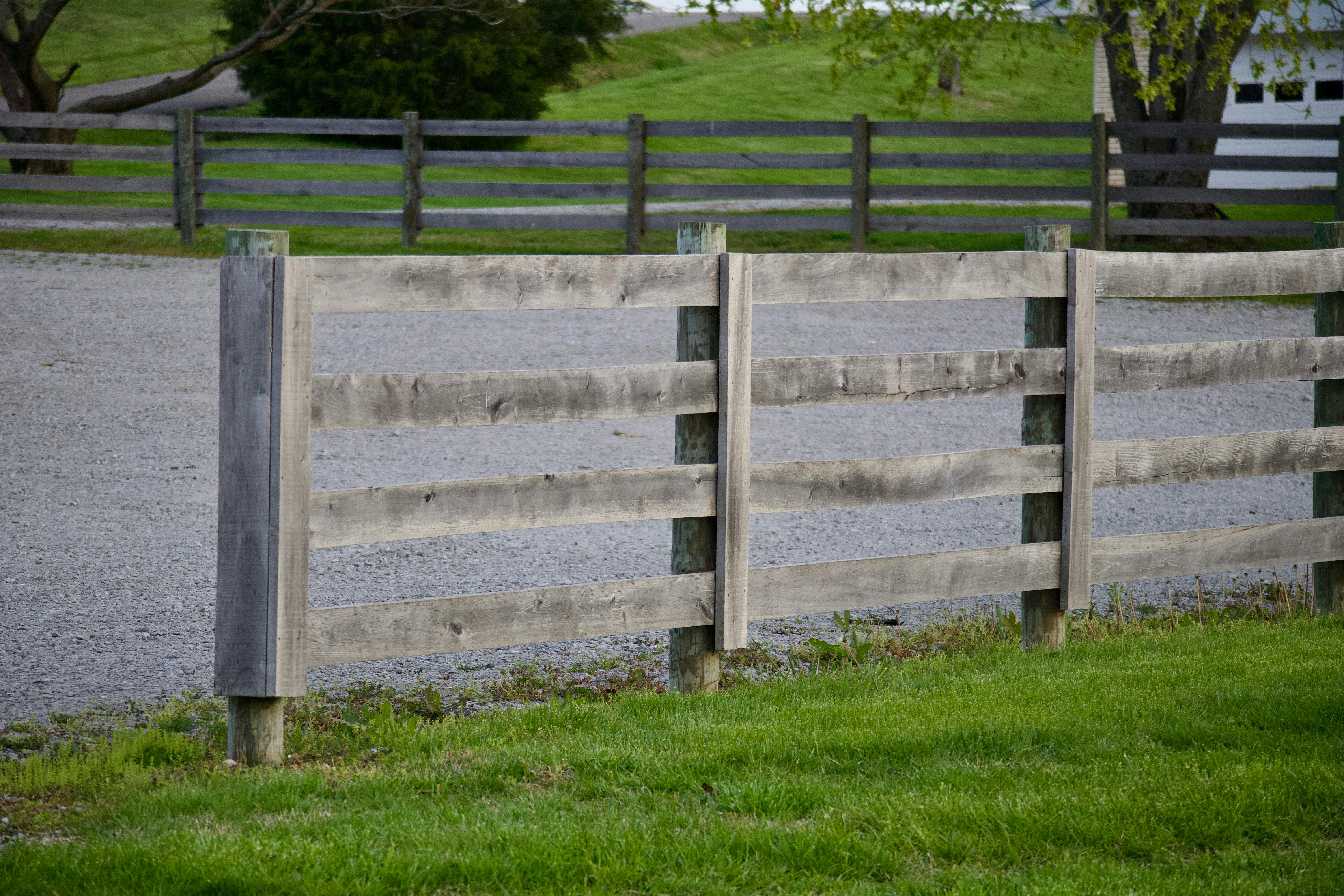 Photo by Rebecca Johnsen with Canon EOS M50