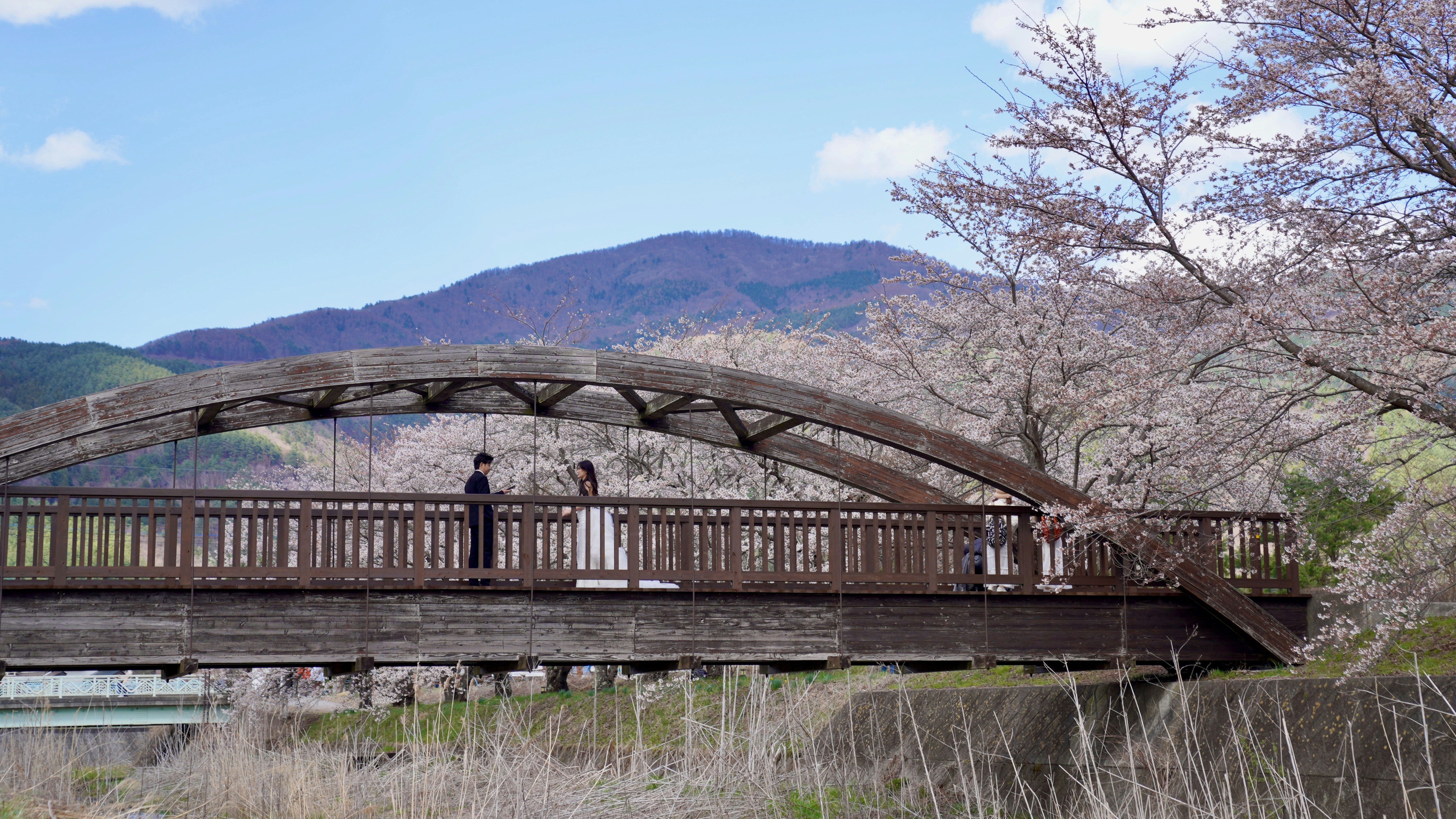 Couple standing on a wooden bridge surrounded by blooming cherry blossoms, with mountains in the background.