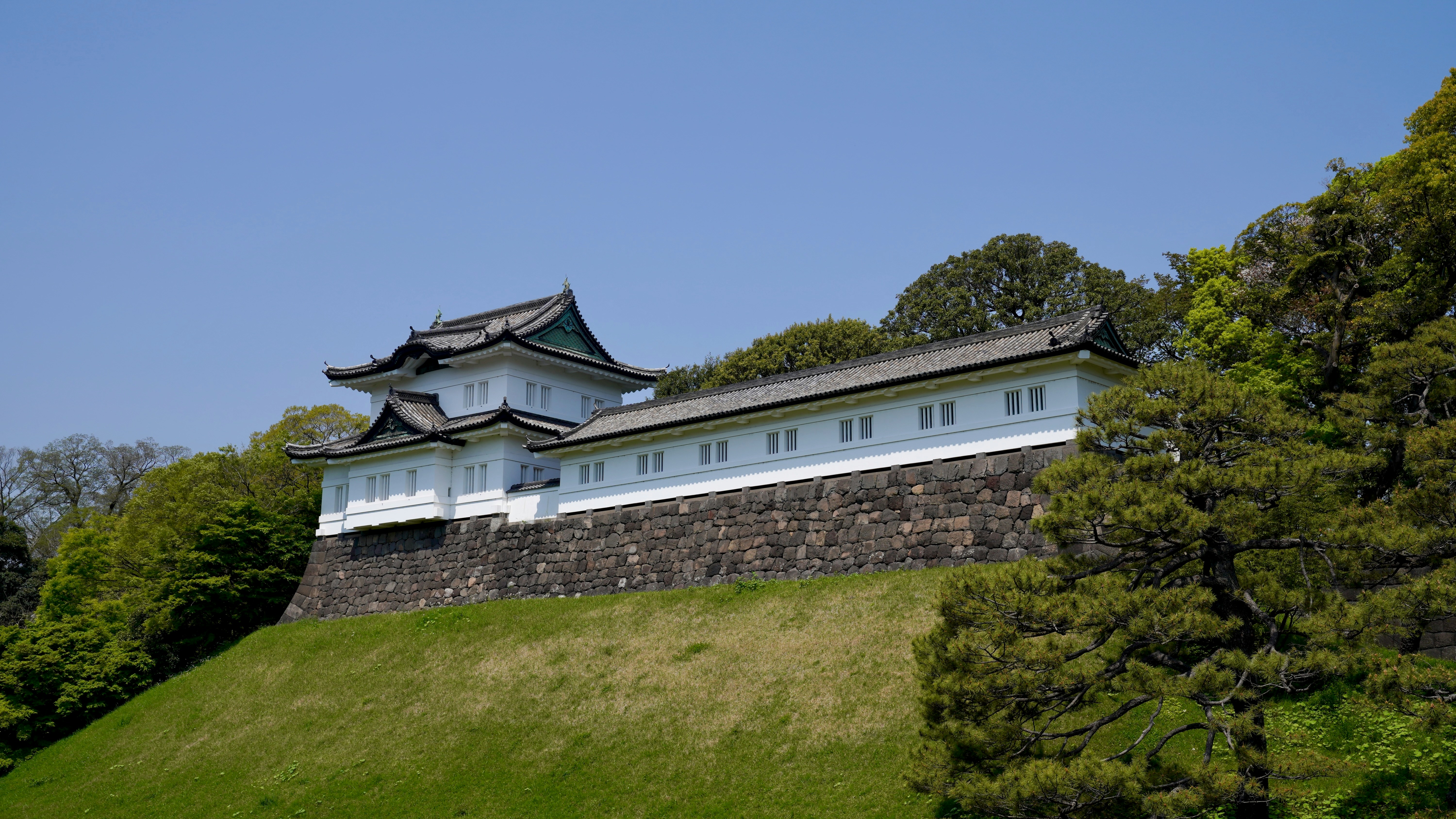 White Walls Above the Grass: A Japanese Castle Framed by Pines