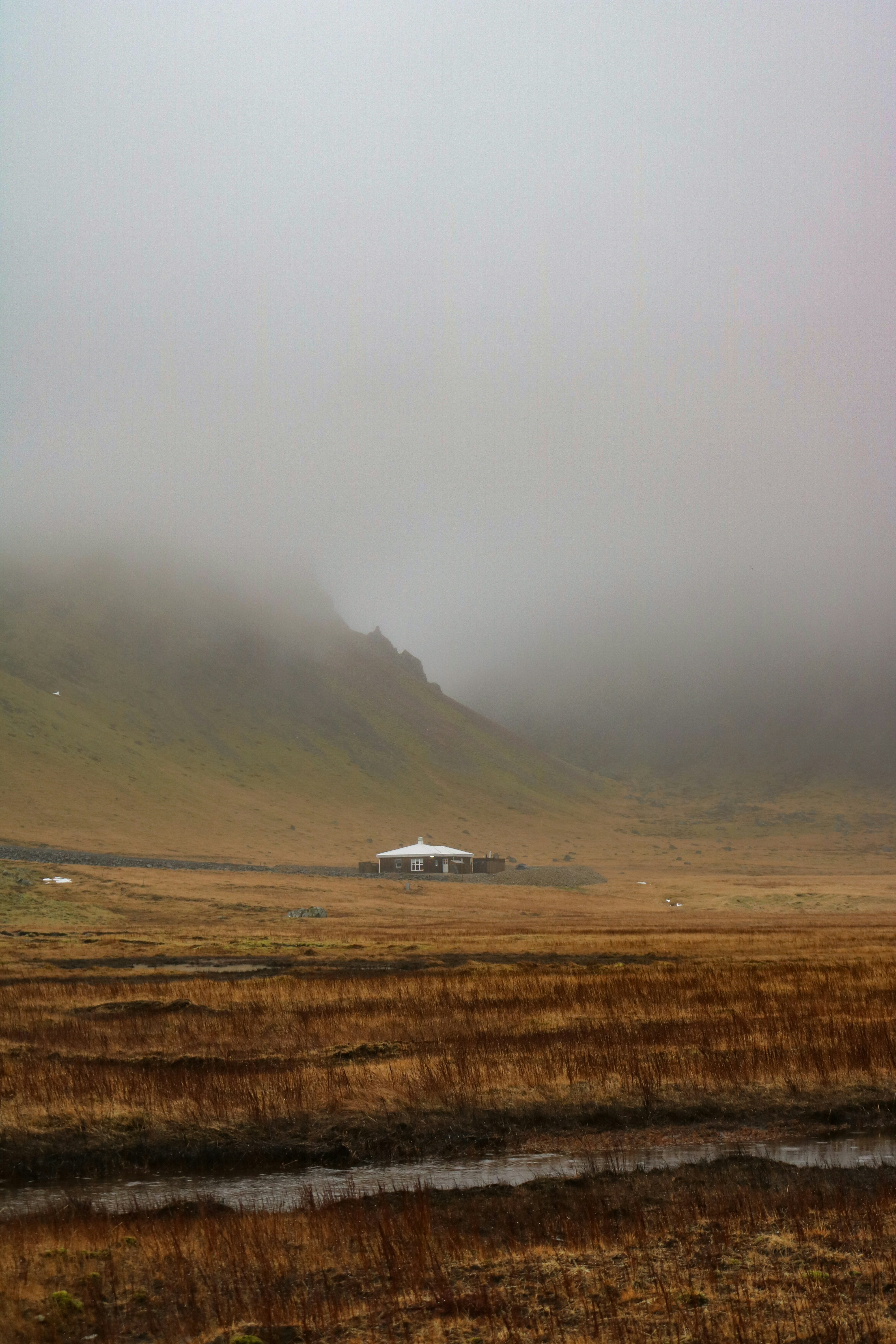 Lone Cabin in the Veil: A Highland Morning Lost in Fog