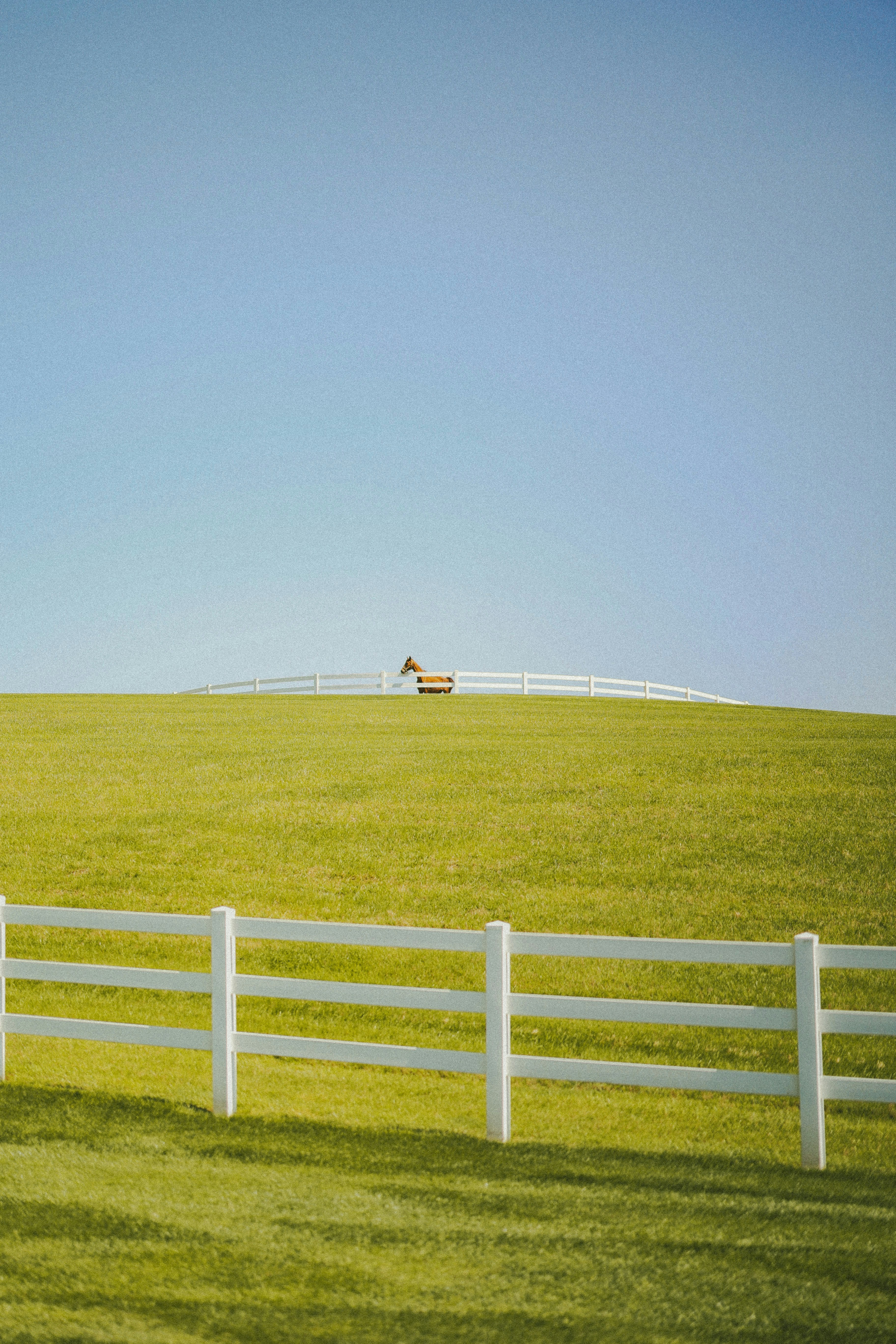 Photo by Brooke Balentine with Canon EOS R6