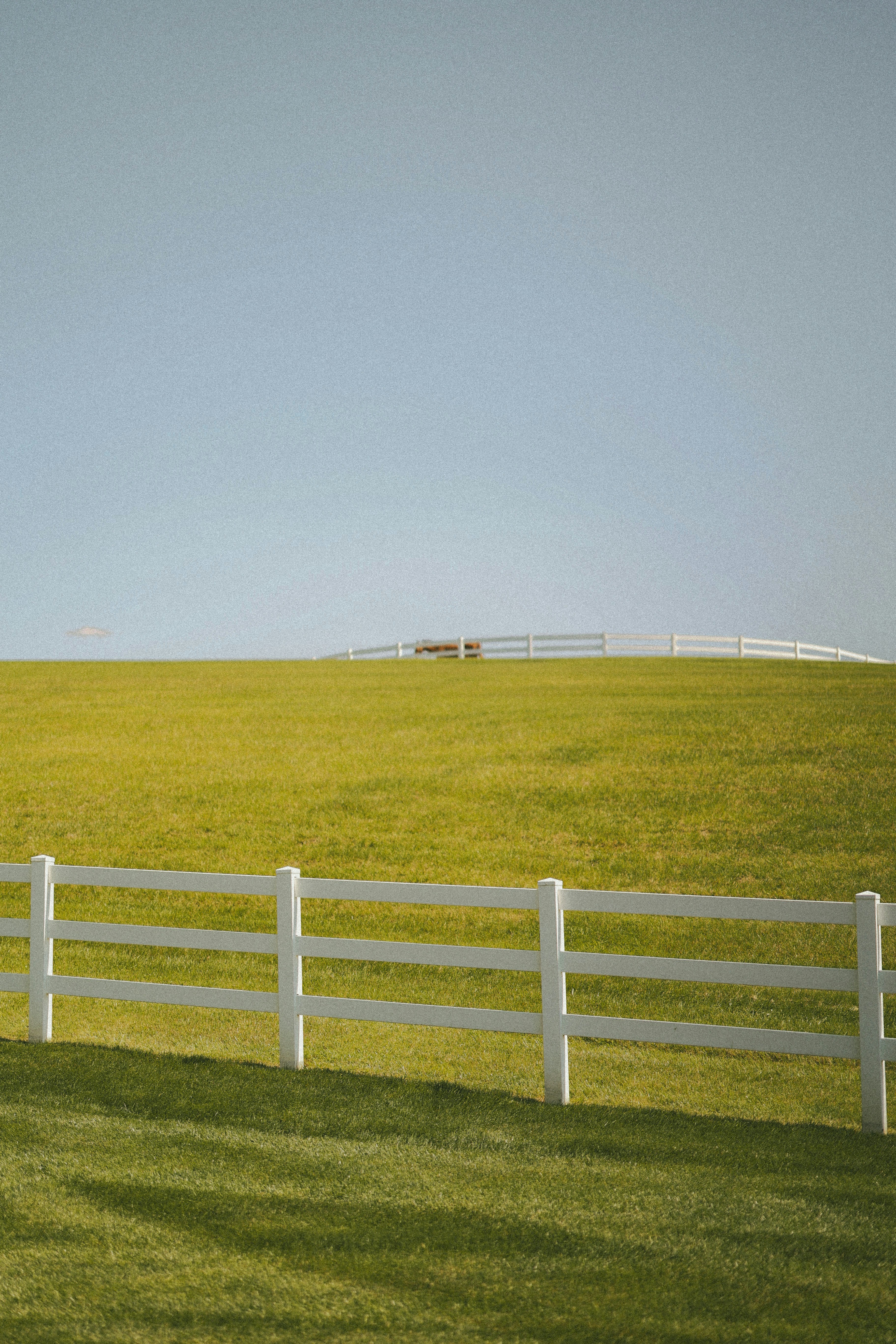 Photo by Brooke Balentine with Canon EOS R6