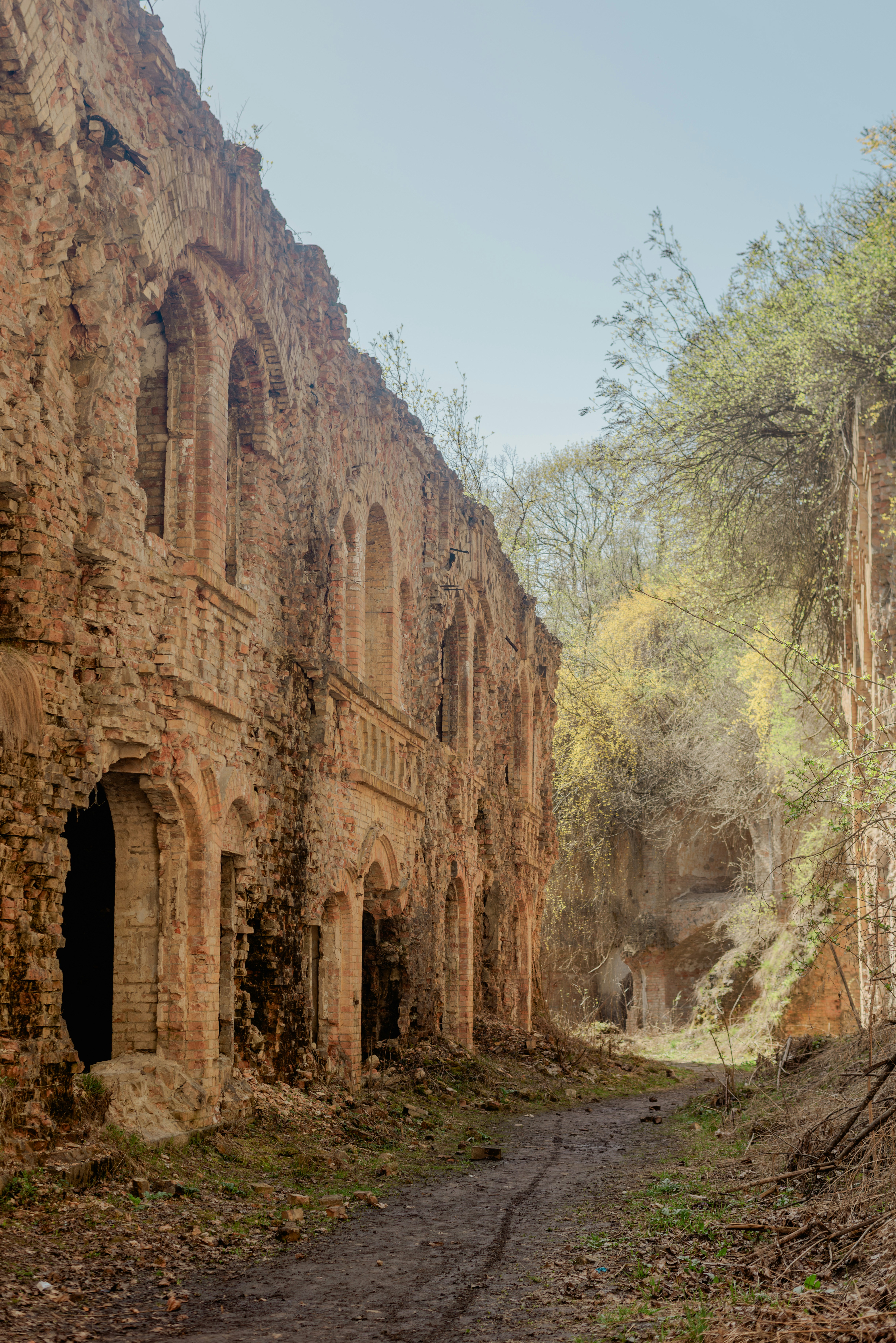 Sunlit Arches Along a Mossy Ruin Path