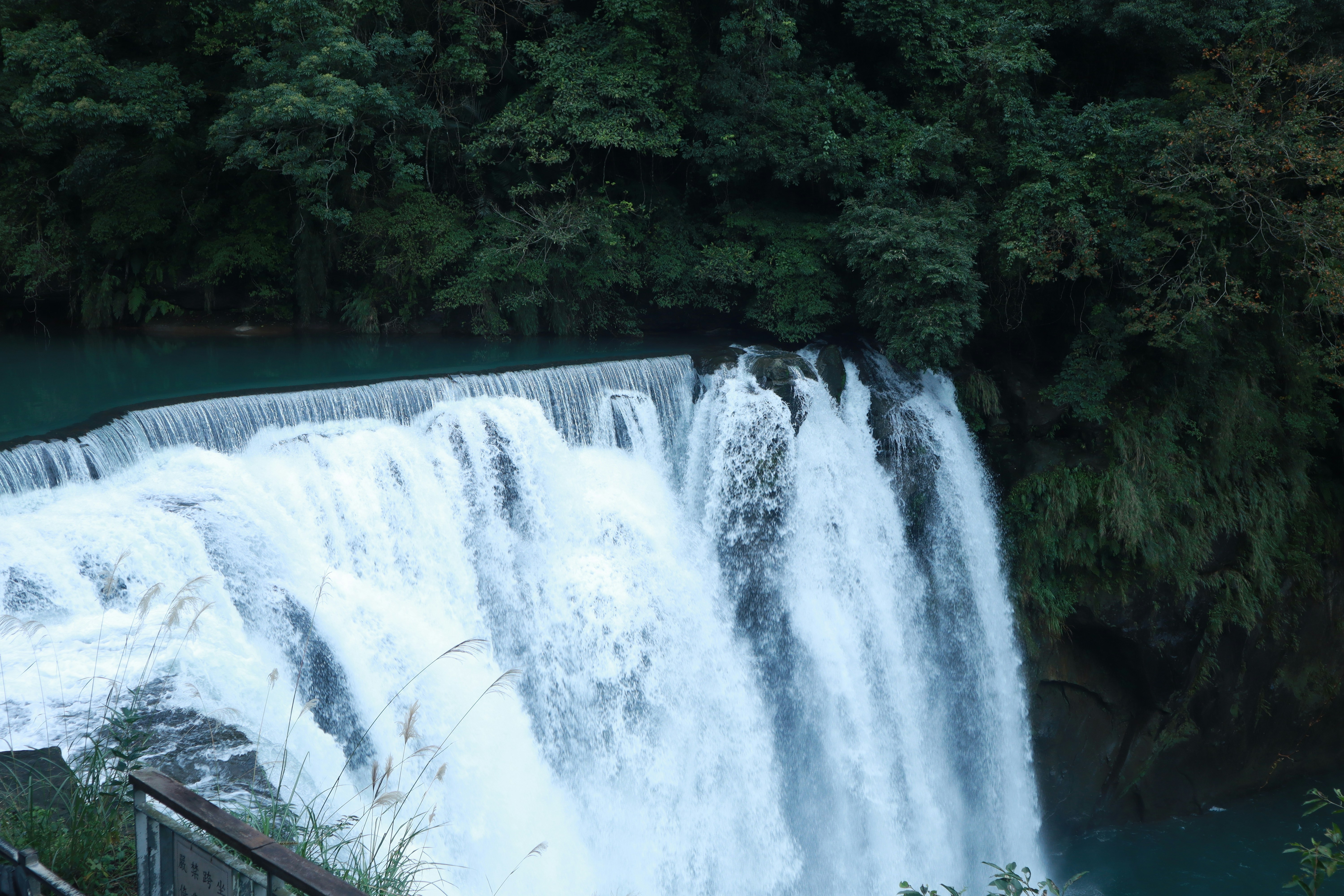 Cascading Veil: A Wide Spray Over the Forest Rim