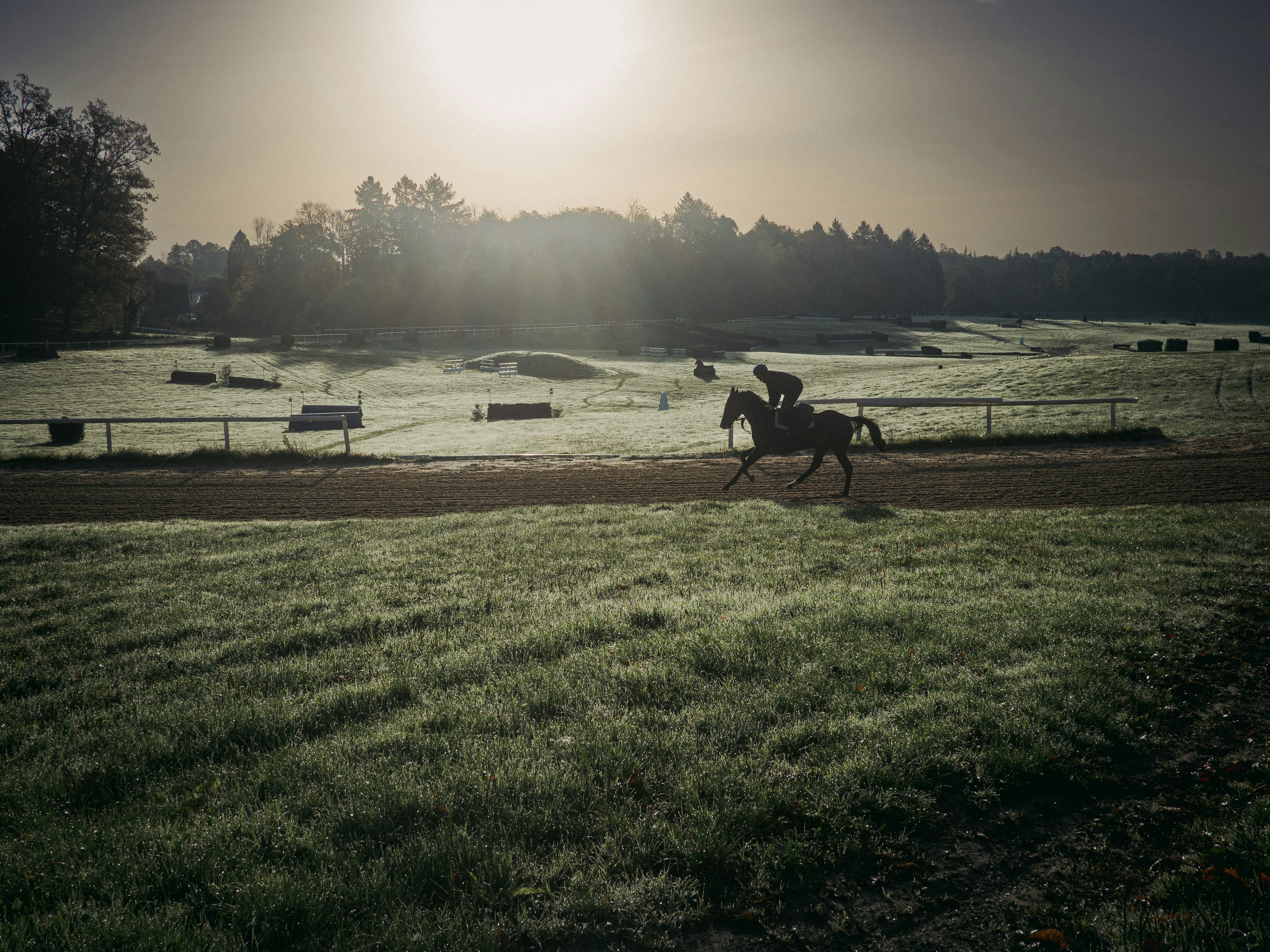 Dawn Ride Across a Quiet Meadow