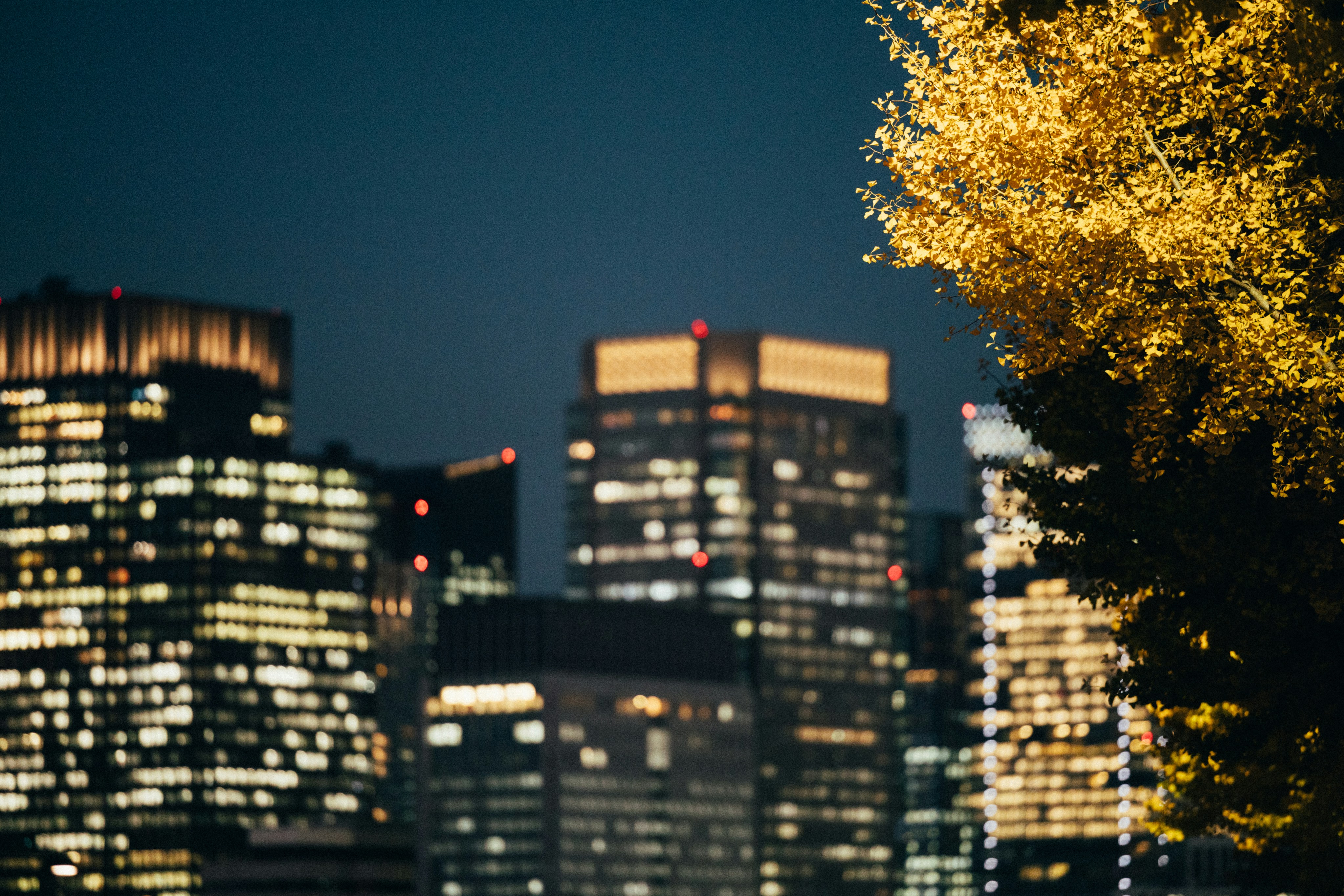 City skyline with illuminated buildings at night. photo – Free Building ...