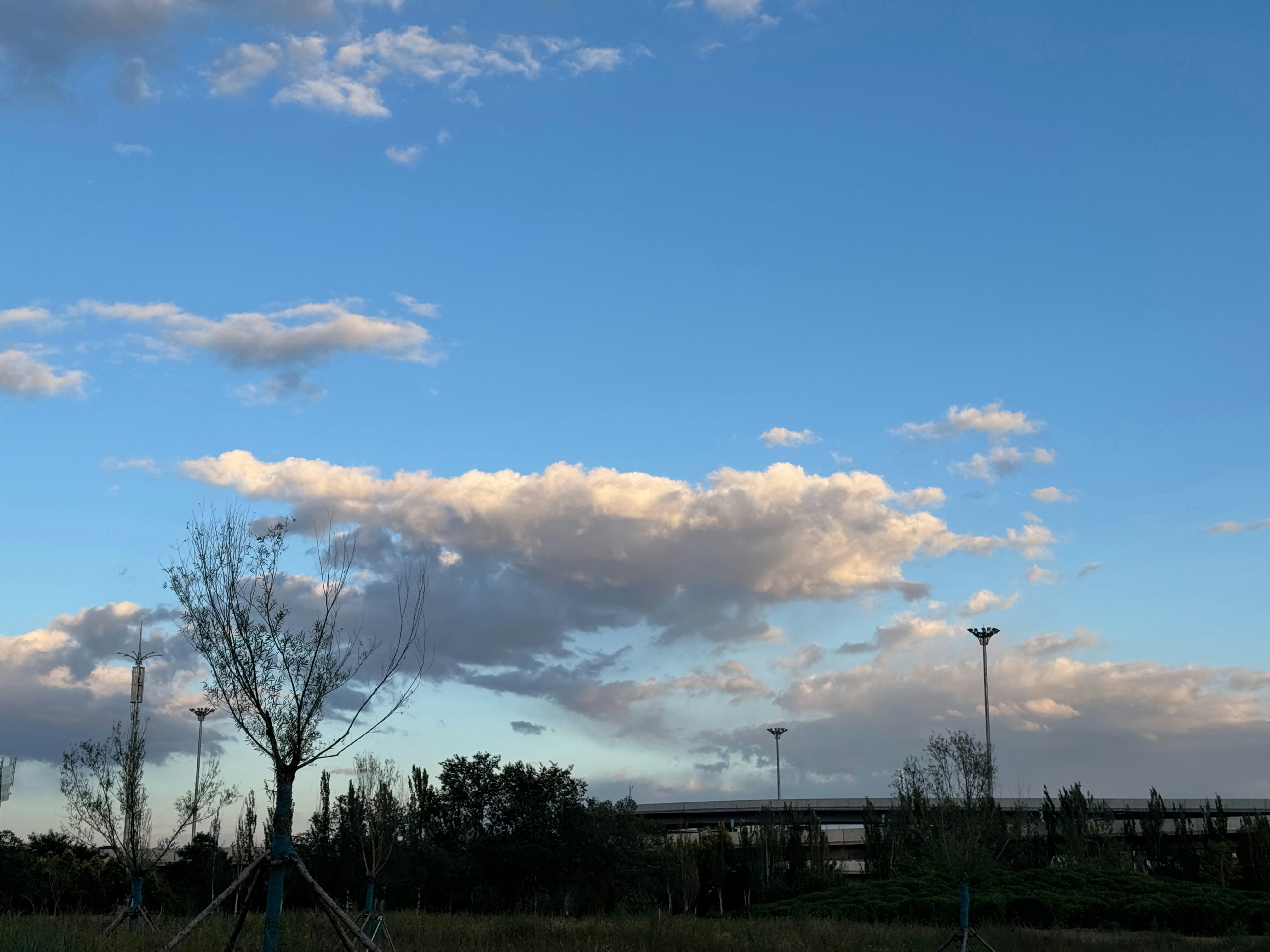 Cloud Cathedral Over a Tranquil Parkway