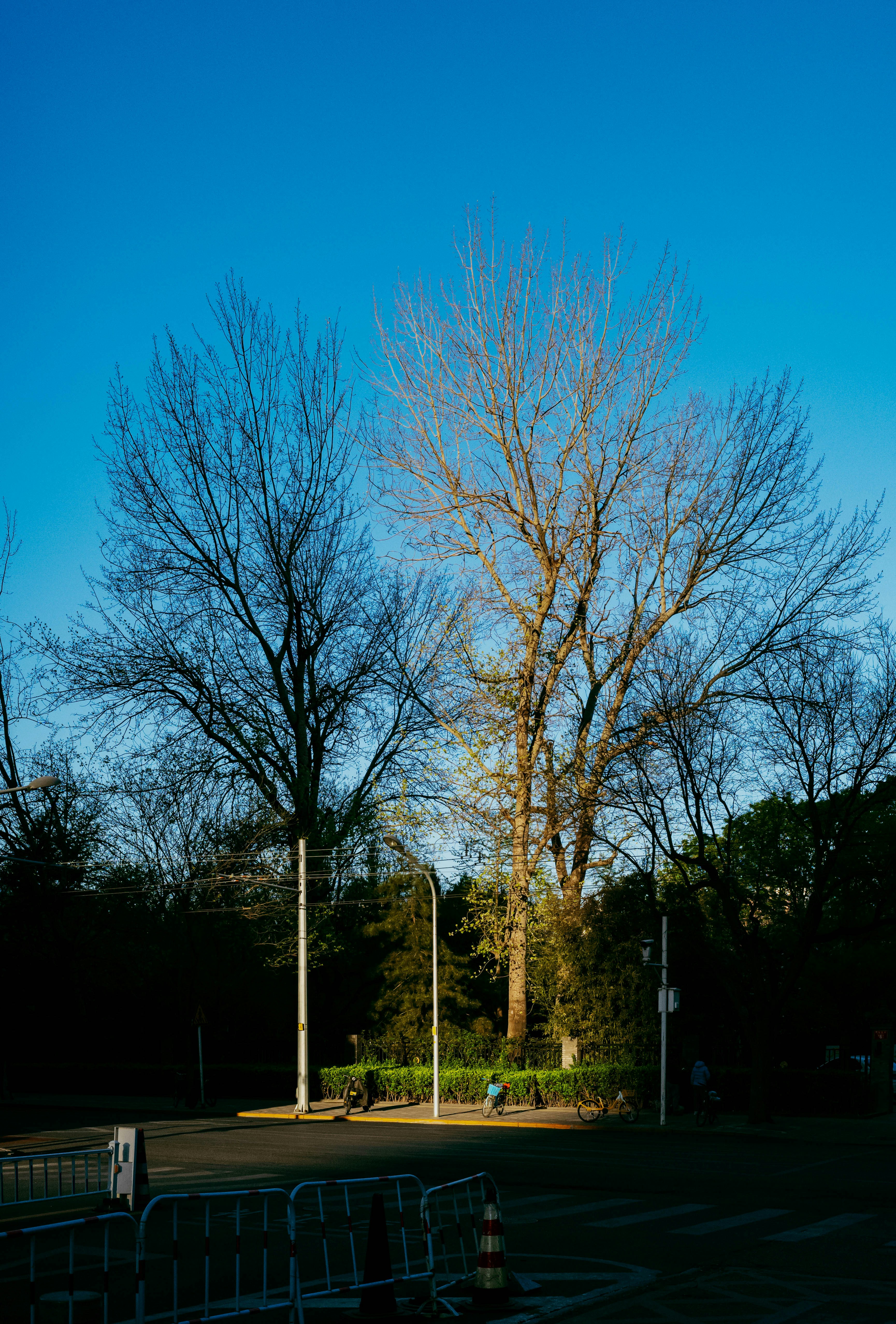 Photo by tommao wang with Leica M10-P