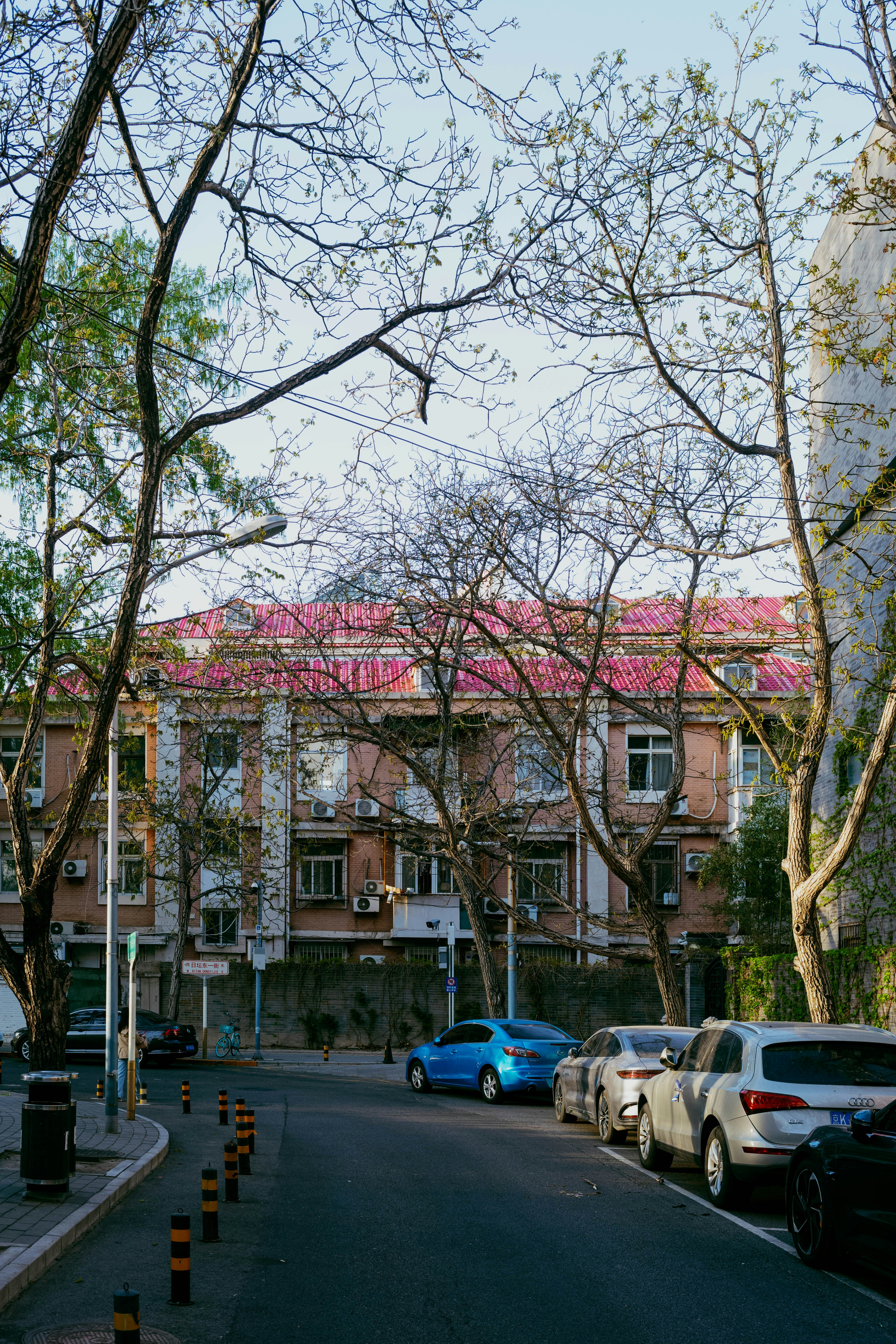 Urban Serenity: A Glimpse of Everyday Life
