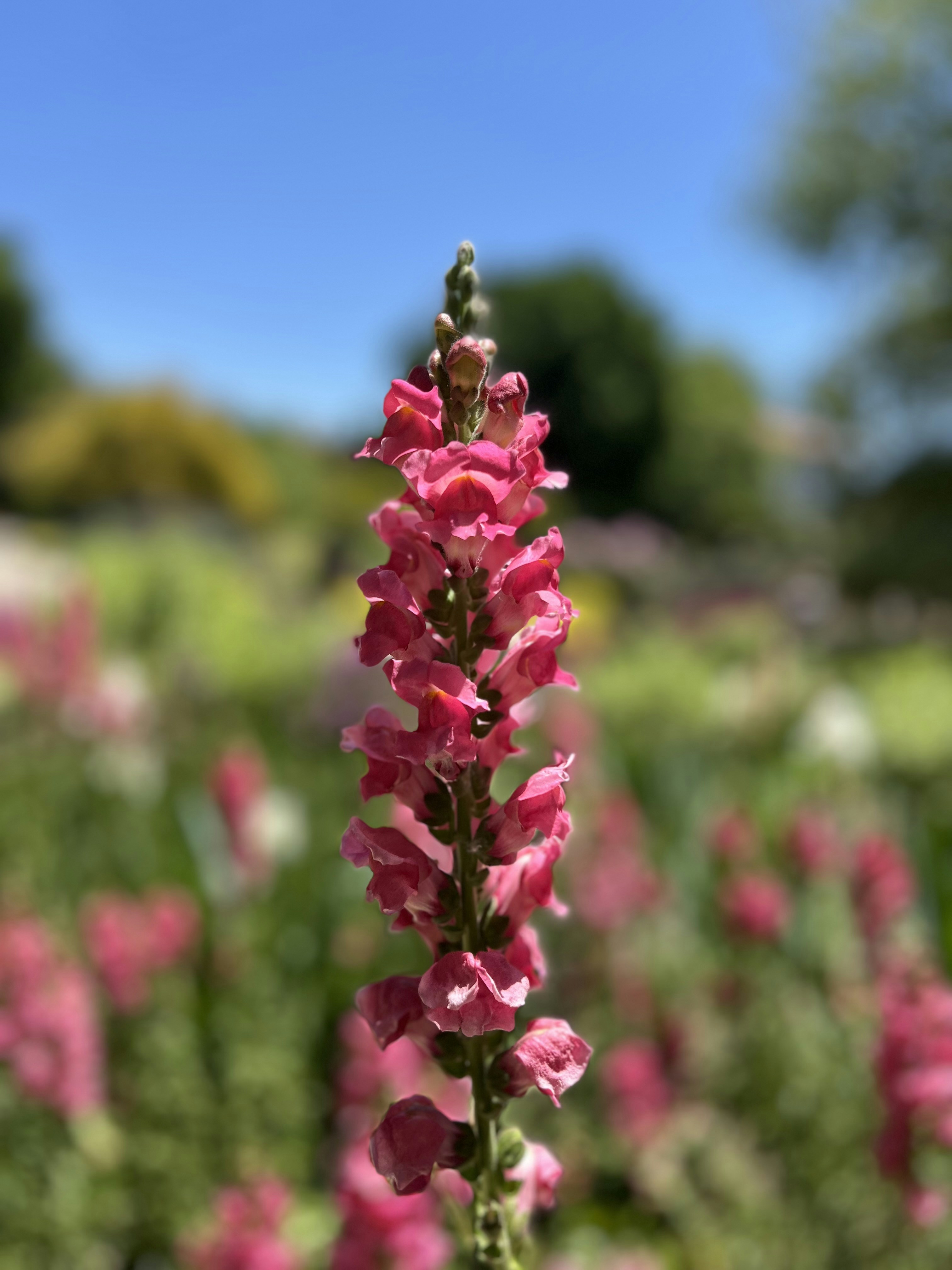 Tash Guimond (@tashguimond) | Komunitas Foto Unsplash