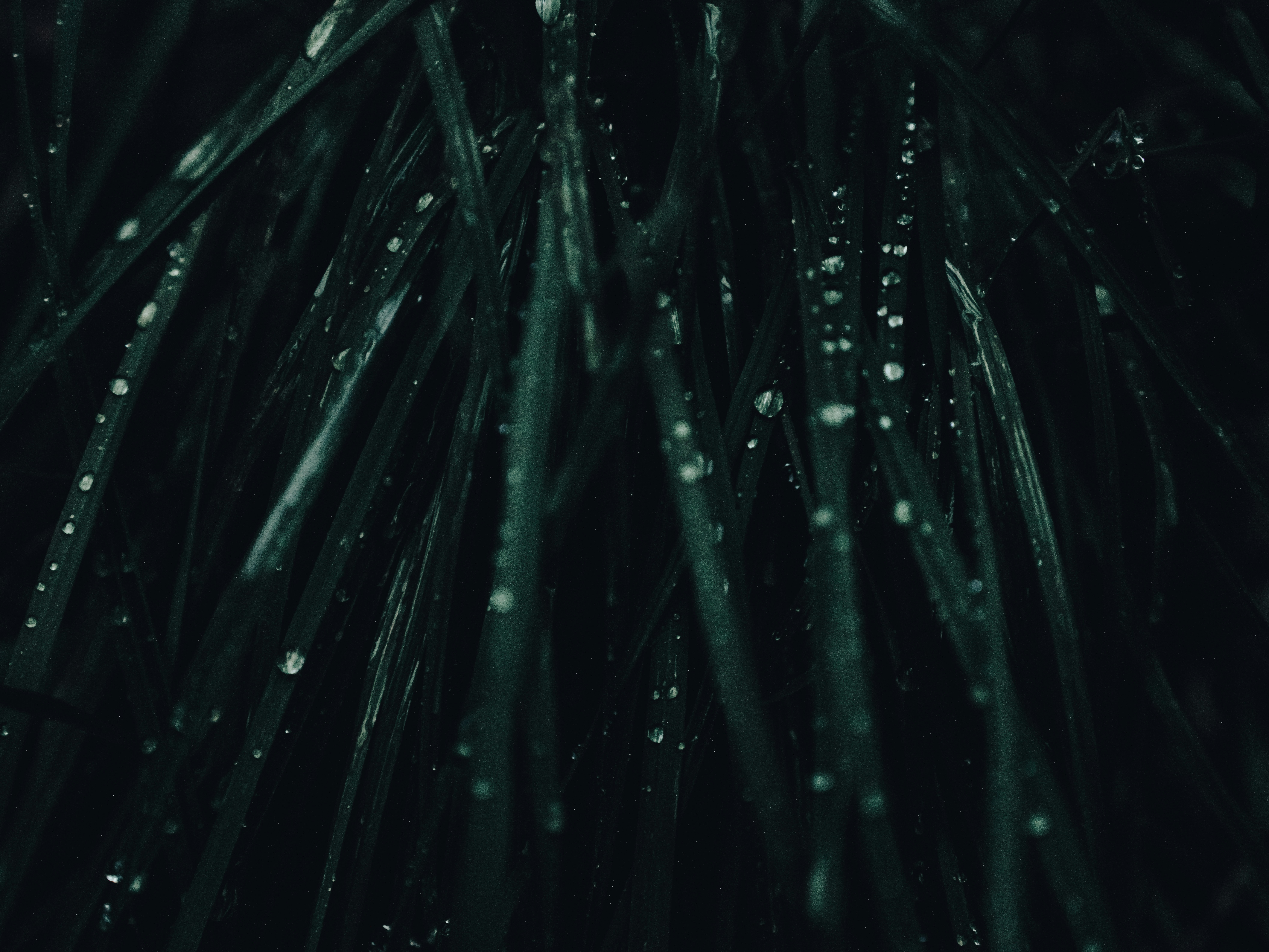 Photo by Nastia Petruk with Sony Alpha 7R IV