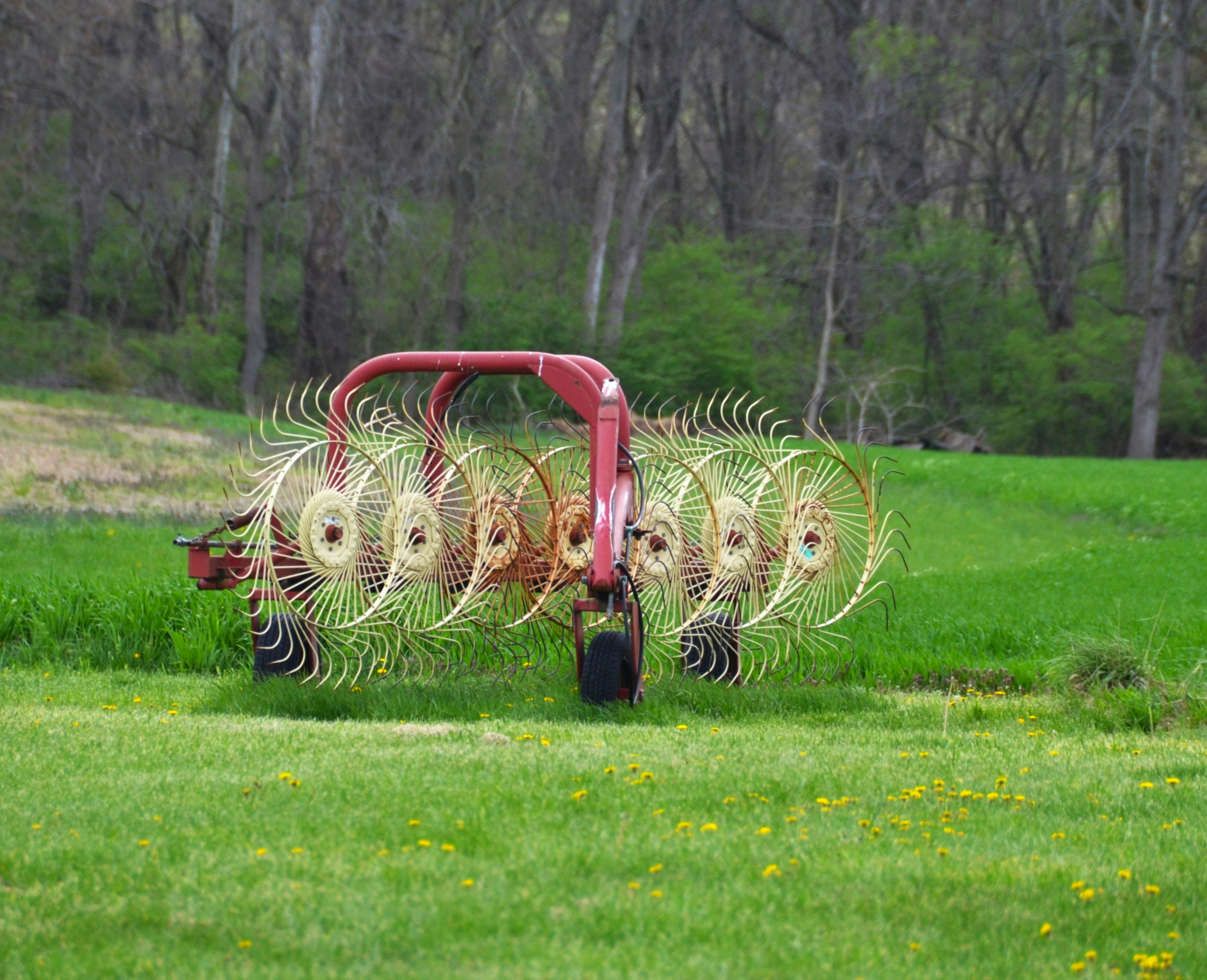 Hay rake rests in a grassy field. photo – Free Grass Image on Unsplash