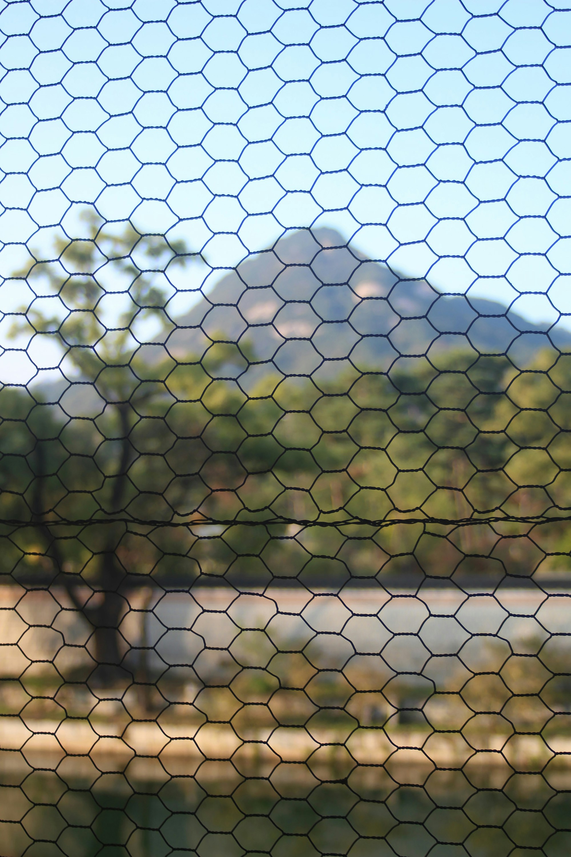 A mountain is seen through a wire mesh fence. photo – Free Outdoors ...