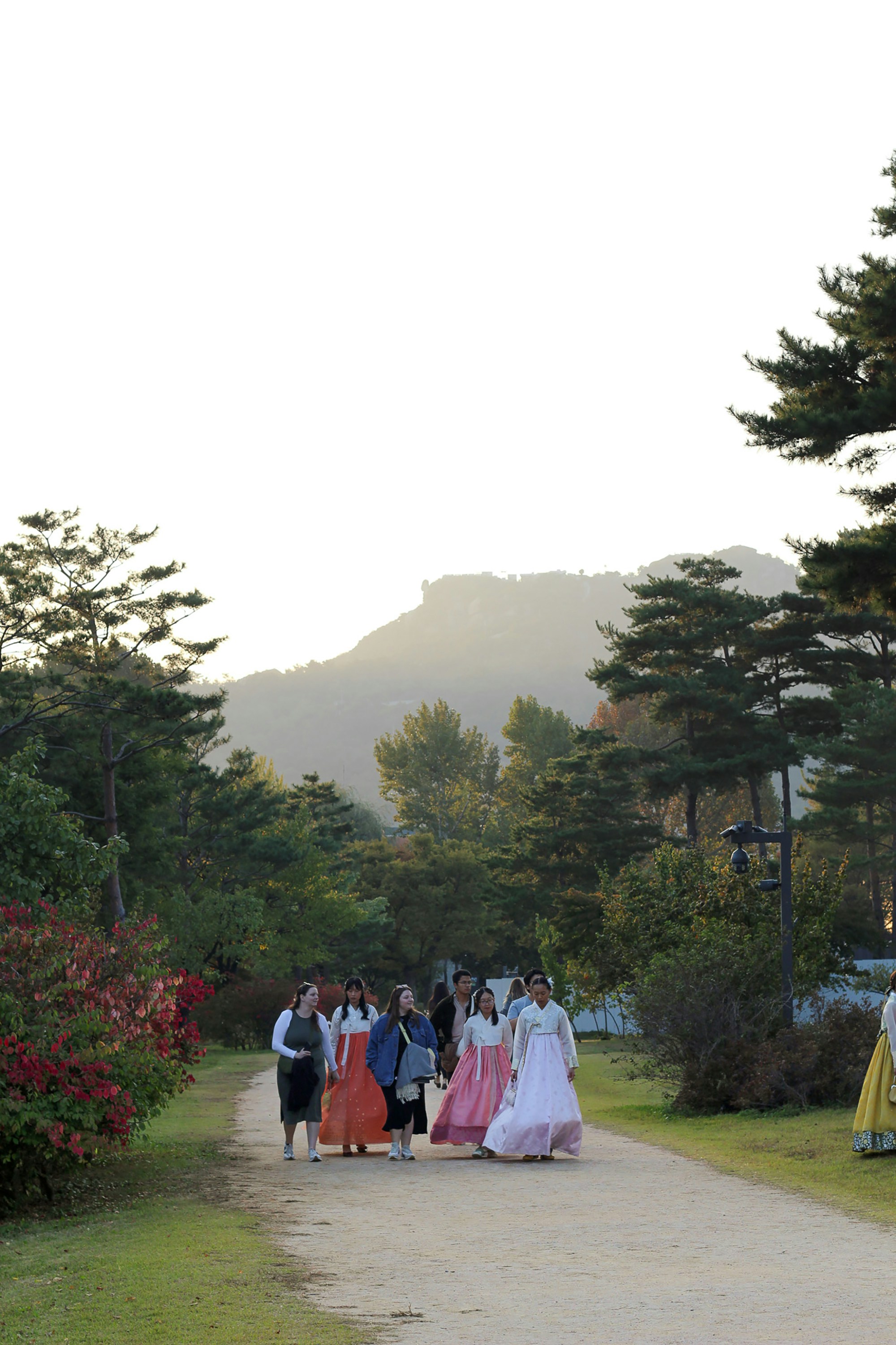 People in traditional korean attire walk in a park. photo – Free Flower ...