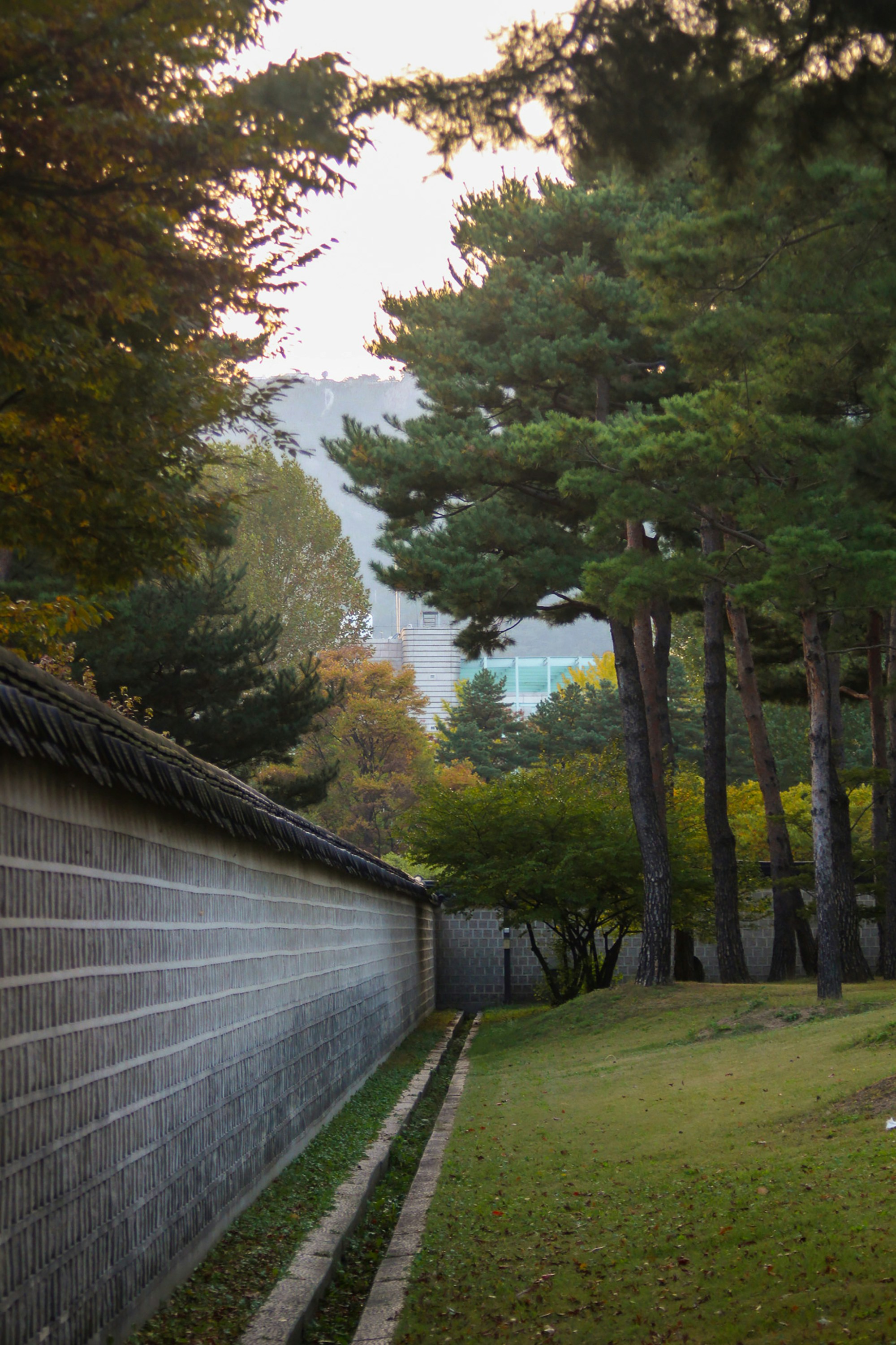 Addison Musick (@addymusick) | Komunitas Foto Unsplash